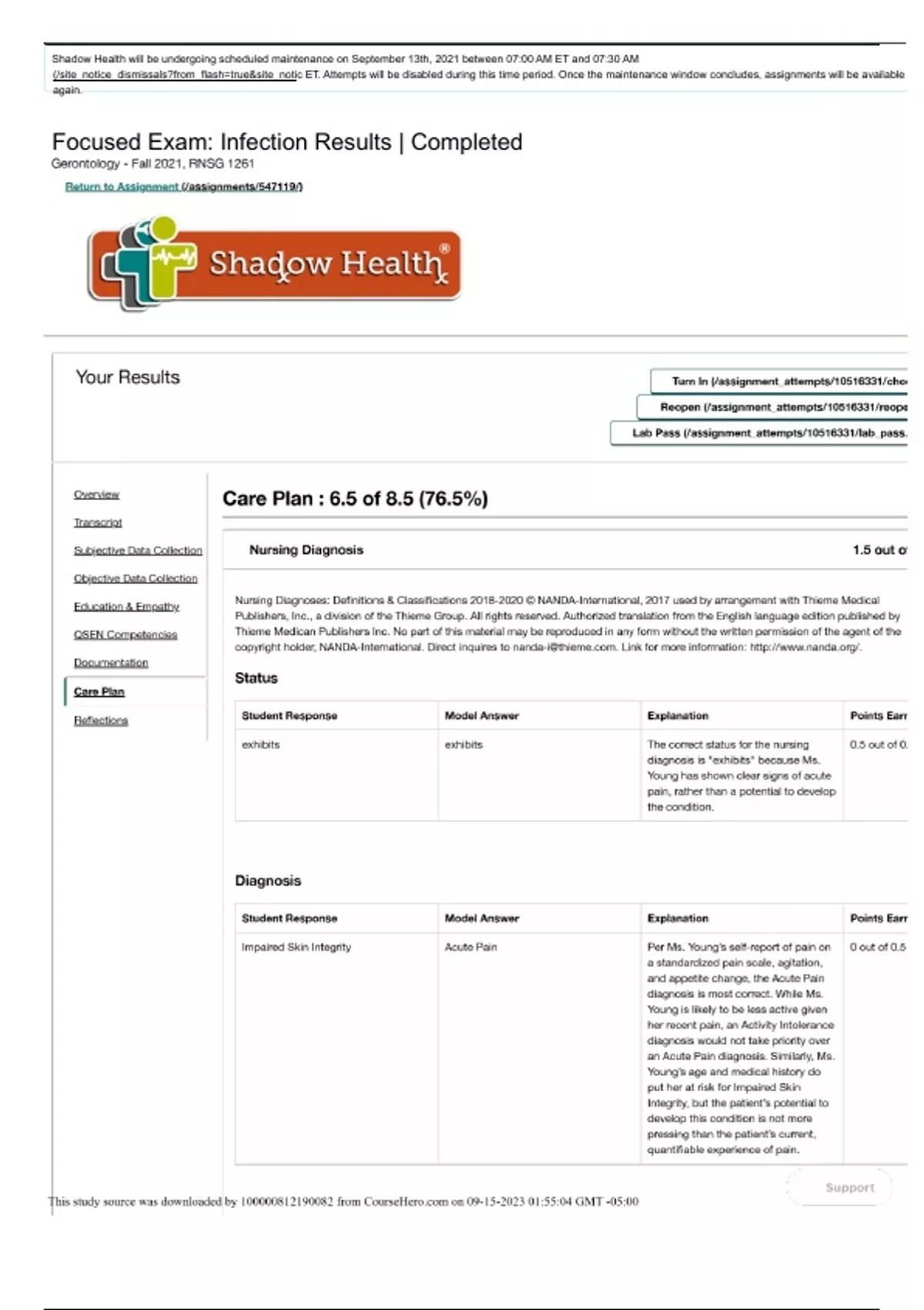 Shadow Health Focused Exam Patricia Young Infection Pain Care Plan ...