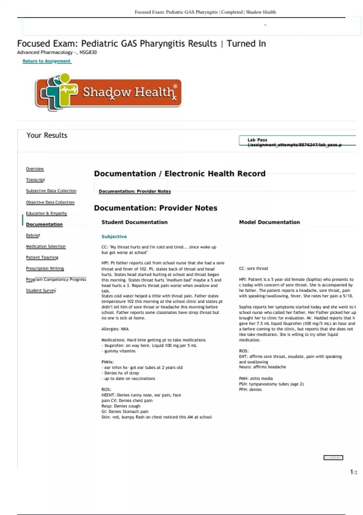 NSG 830 Focused Exam Pediatric GAS Pharyngitis Documentation - NSG 830 ...