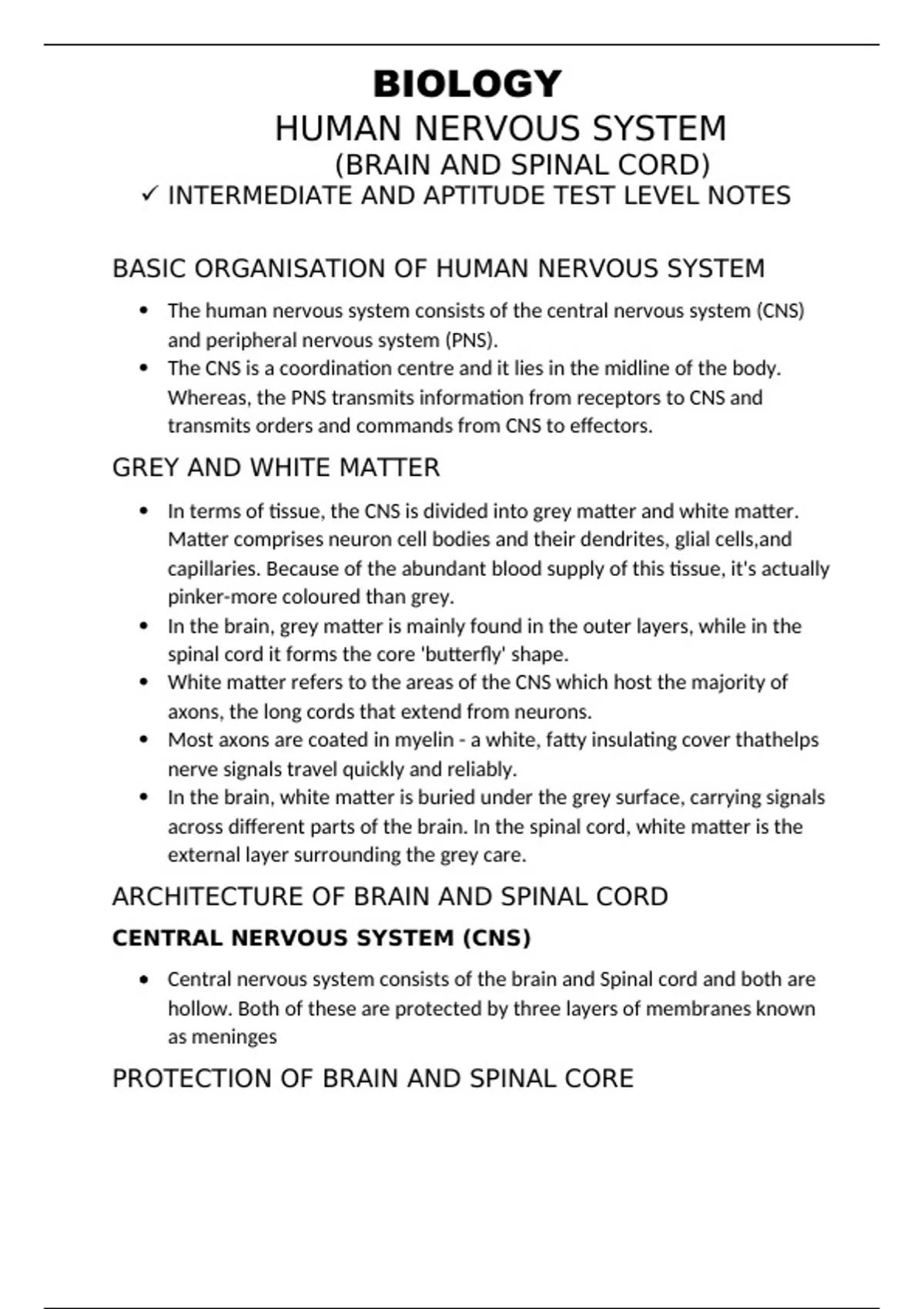 Human Nervous System - Biology - Stuvia US