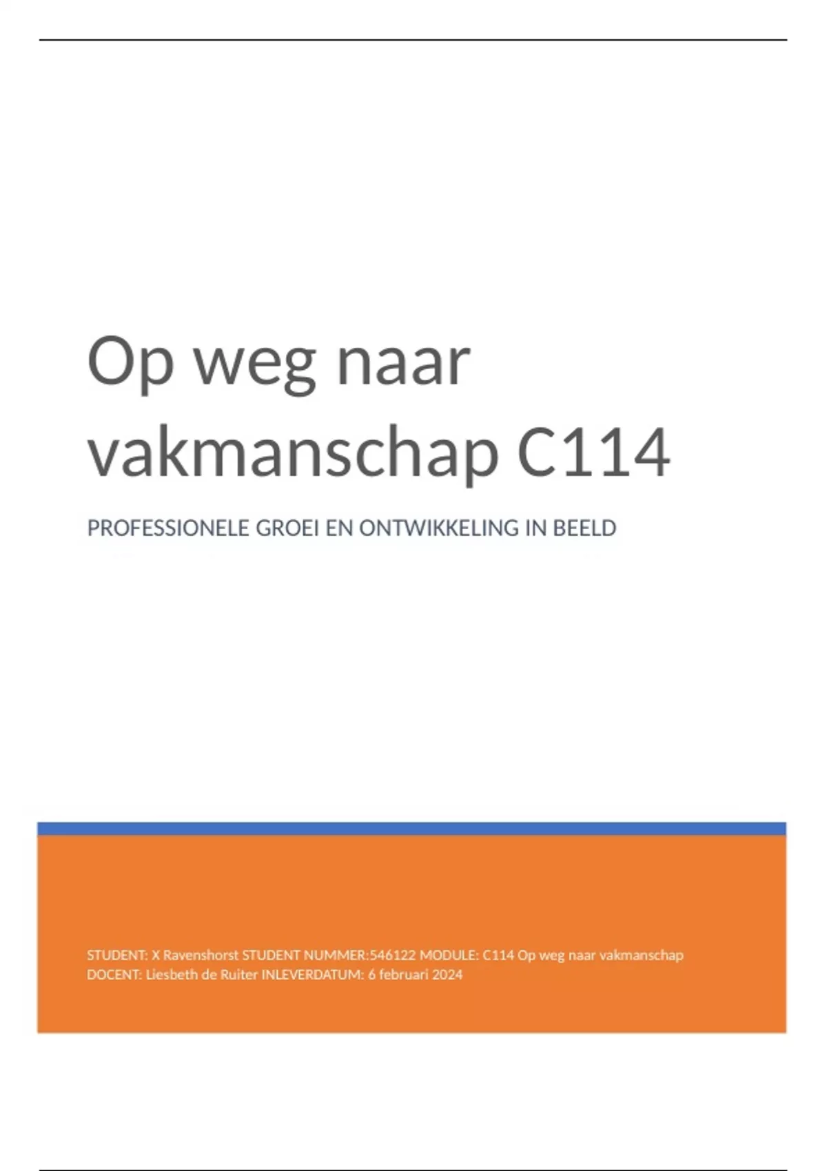 Op weg naar vakmanschap - beoordeeld met een 9 - C114 Vakmanschap (C114) - Stuvia NL
