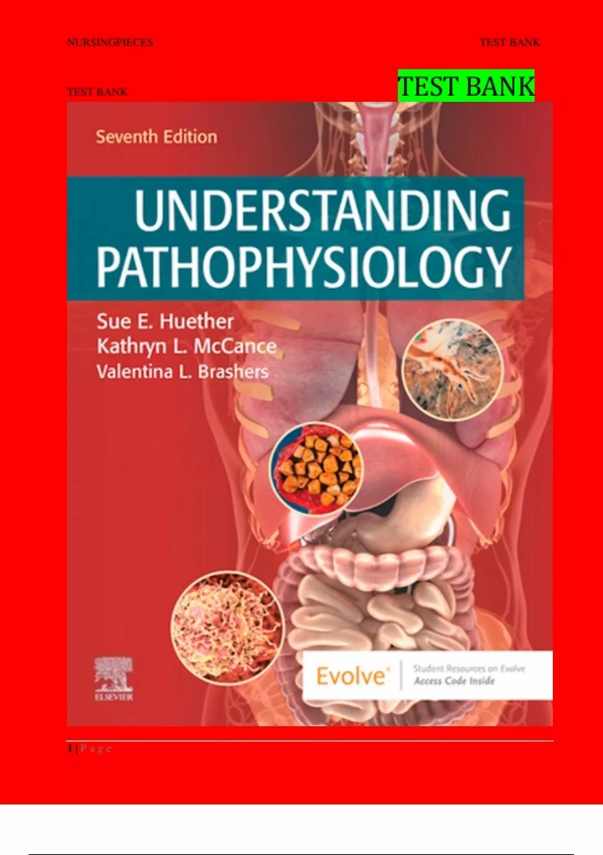 Test Bank Understanding Pathophysiology 7th Edition - All Chapters ...