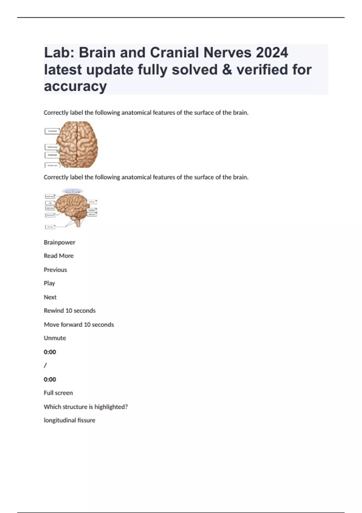 Lab Brain and Cranial Nerves 2024 latest update fully solved & verified ...