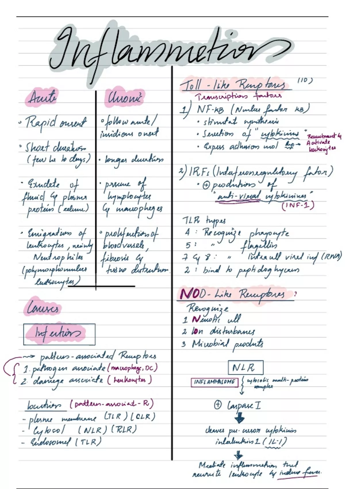 Summary Inflammation pathogenesis - Pathophysiology - Stuvia US
