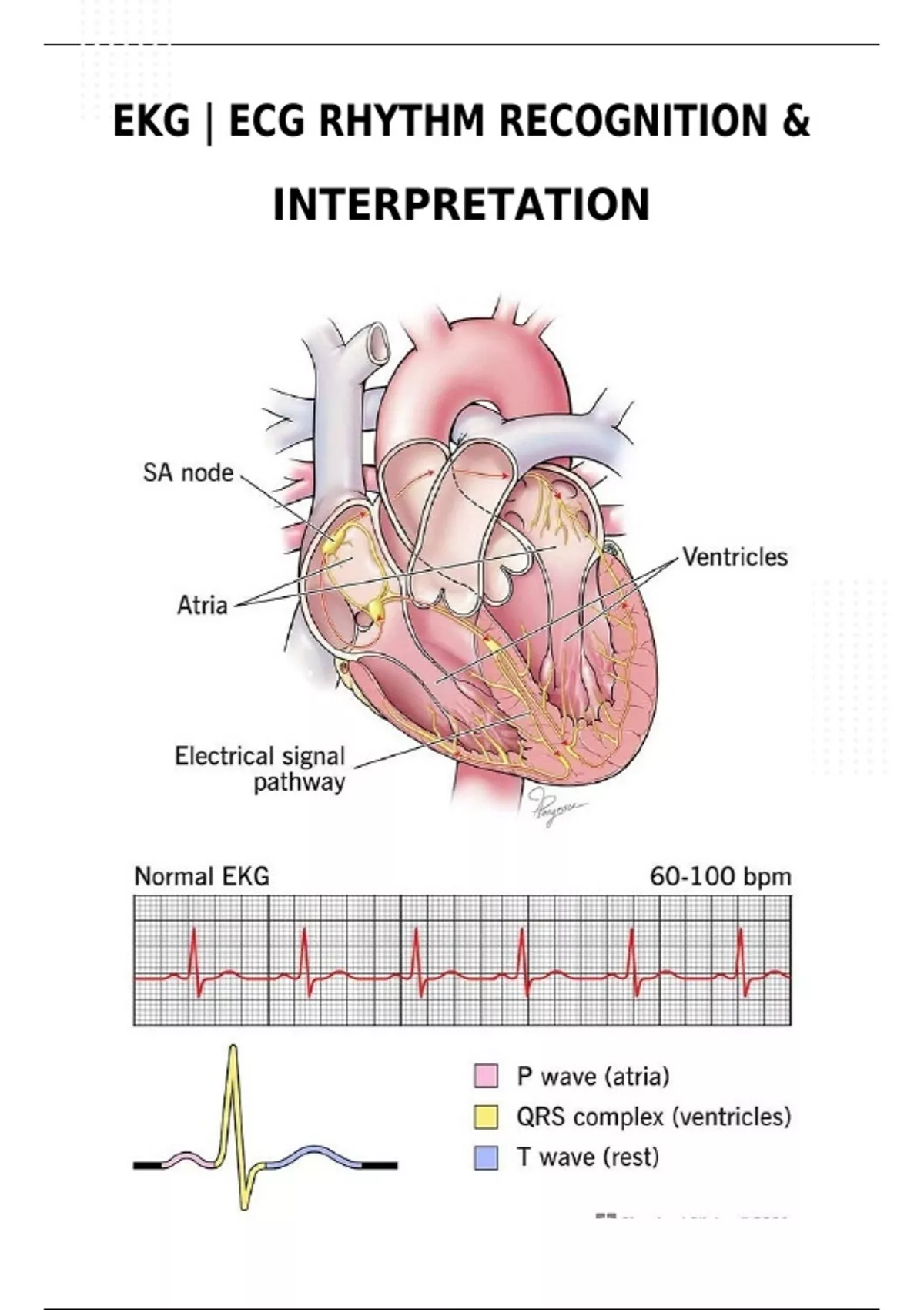 (SUMMARY) EKG | ECG RHYTHM RECOGNITION & INTERPRETATION - EKG | ECG RHYTHM RECOGNITION ...