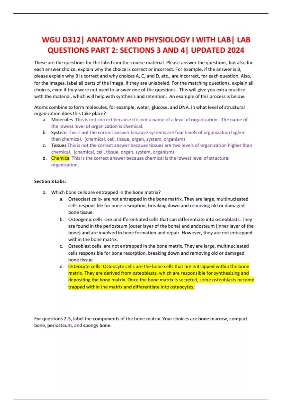 WGU D312| ANATOMY AND PHYSIOLOGY I WITH LAB| LAB QUESTIONS PART 2 ...