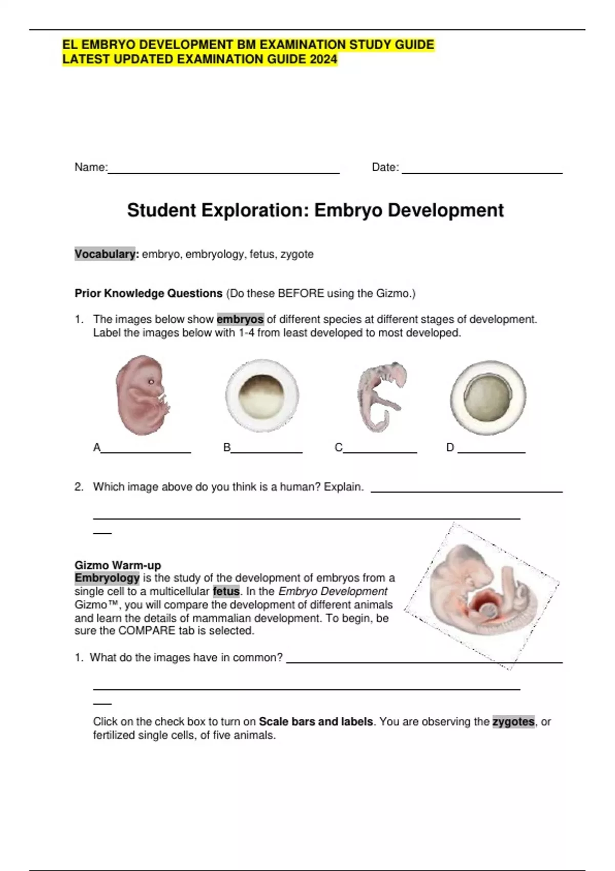 EL EMBRYO DEVELOPMENT BM EXAMINATION STUDY GUIDE LATEST UPDATED ...