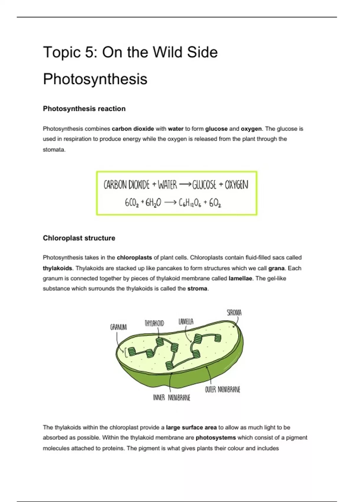 Summary Edexcel IAL Biology Topic 5 Photosynthesis Notes - Edexcel ...