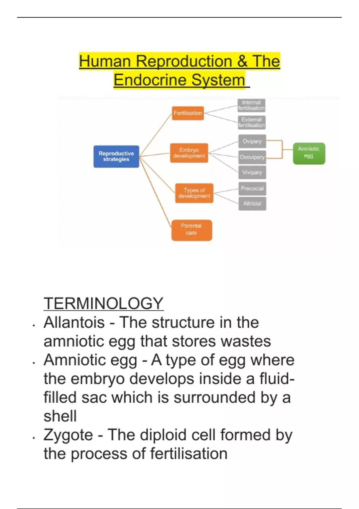 Summary - Life Sciences (Biology) Reproduction & The Endocrine System ...