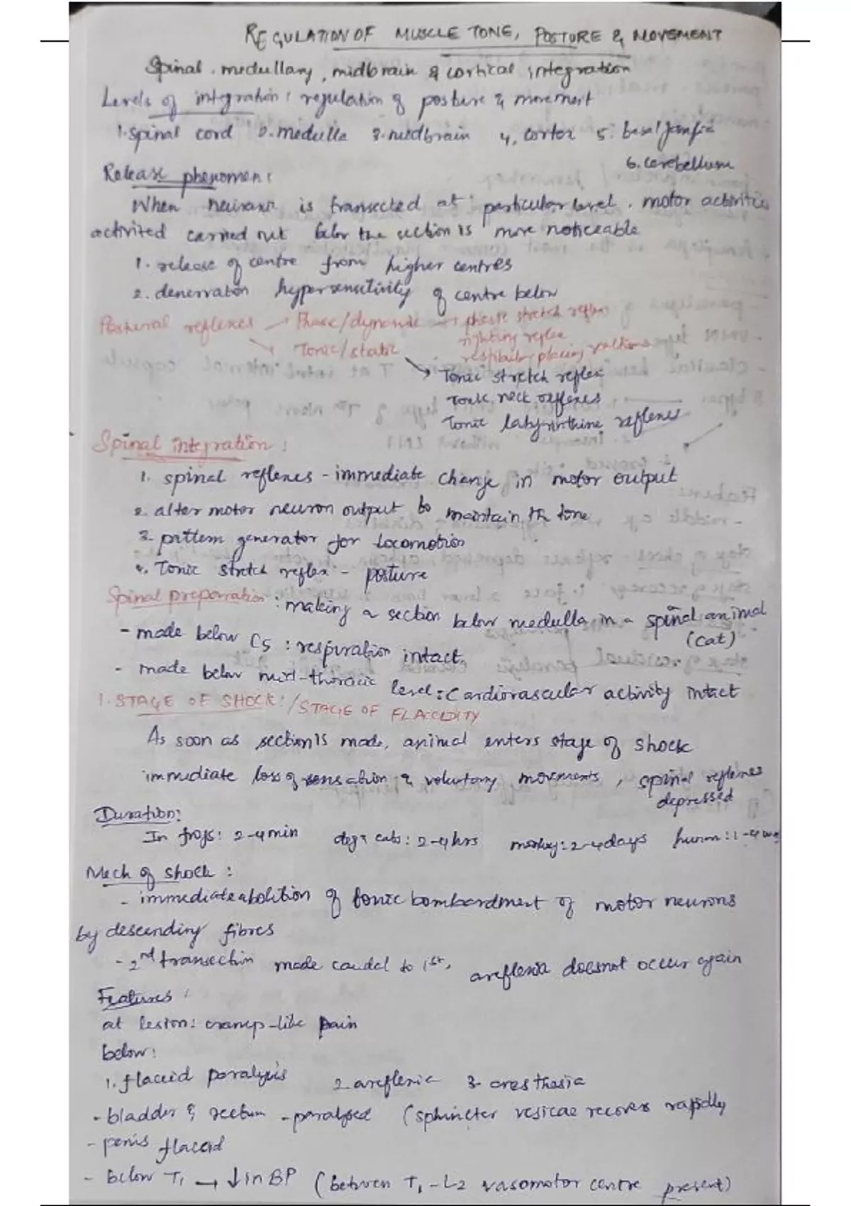 Regulation of muscle tone,posture and movement. Physiology - 123 ...