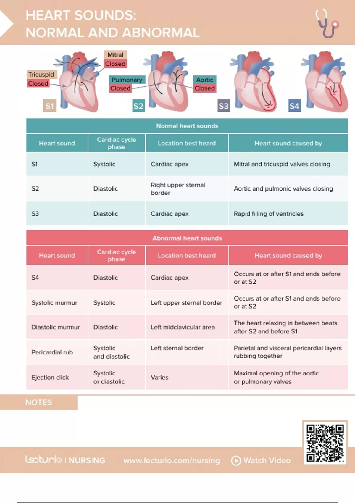 NCLEX ASSESSMENT CHEAT SHEET FOR HEART SOUNDS: NORMAL AND ABNORMAL ...