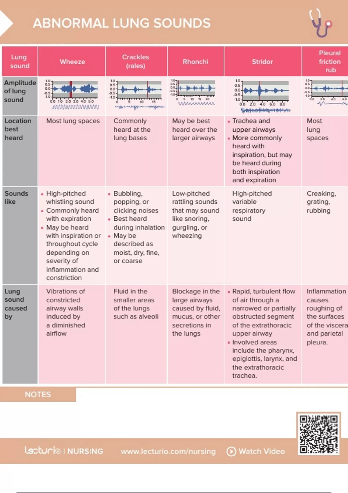 NCLEX ASSESSMENT EXAM CHEAT SHEET FOR ABNORMAL LUNG SOUNDS - Nclex ...