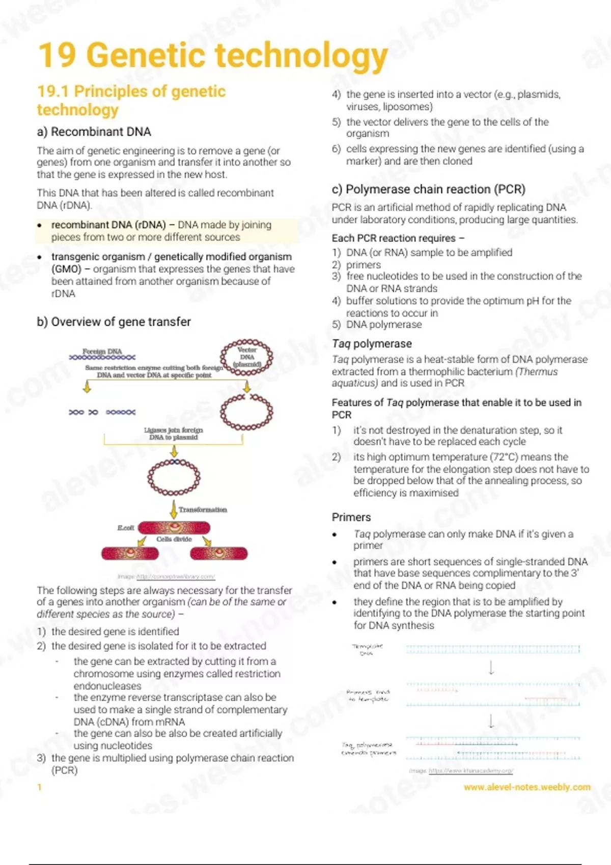 A Level Biology Genetic Technology Notes - A Level Biology - Stuvia US