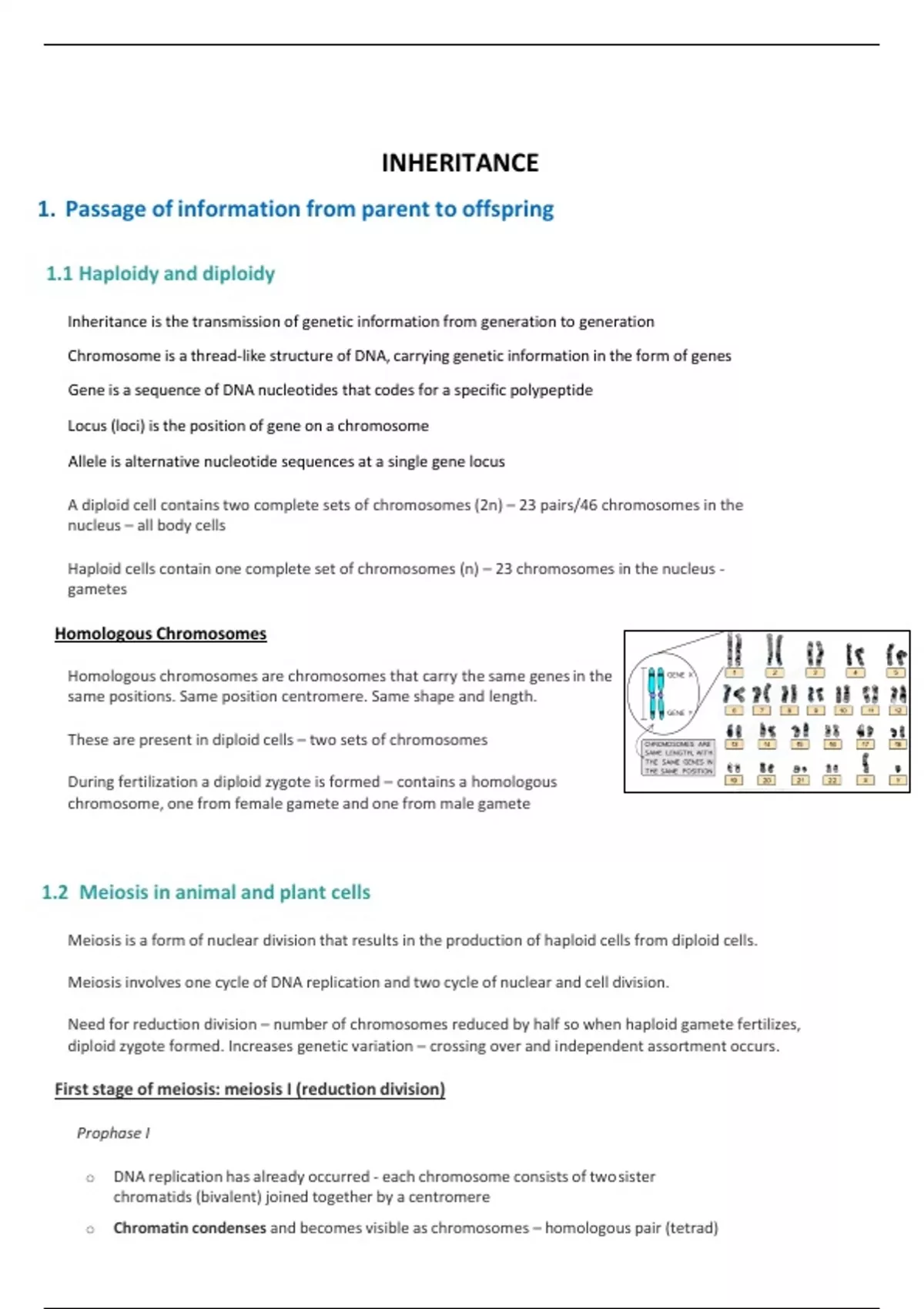 Summary A Level Biology Inheritance notes - A Level Biology - Stuvia US