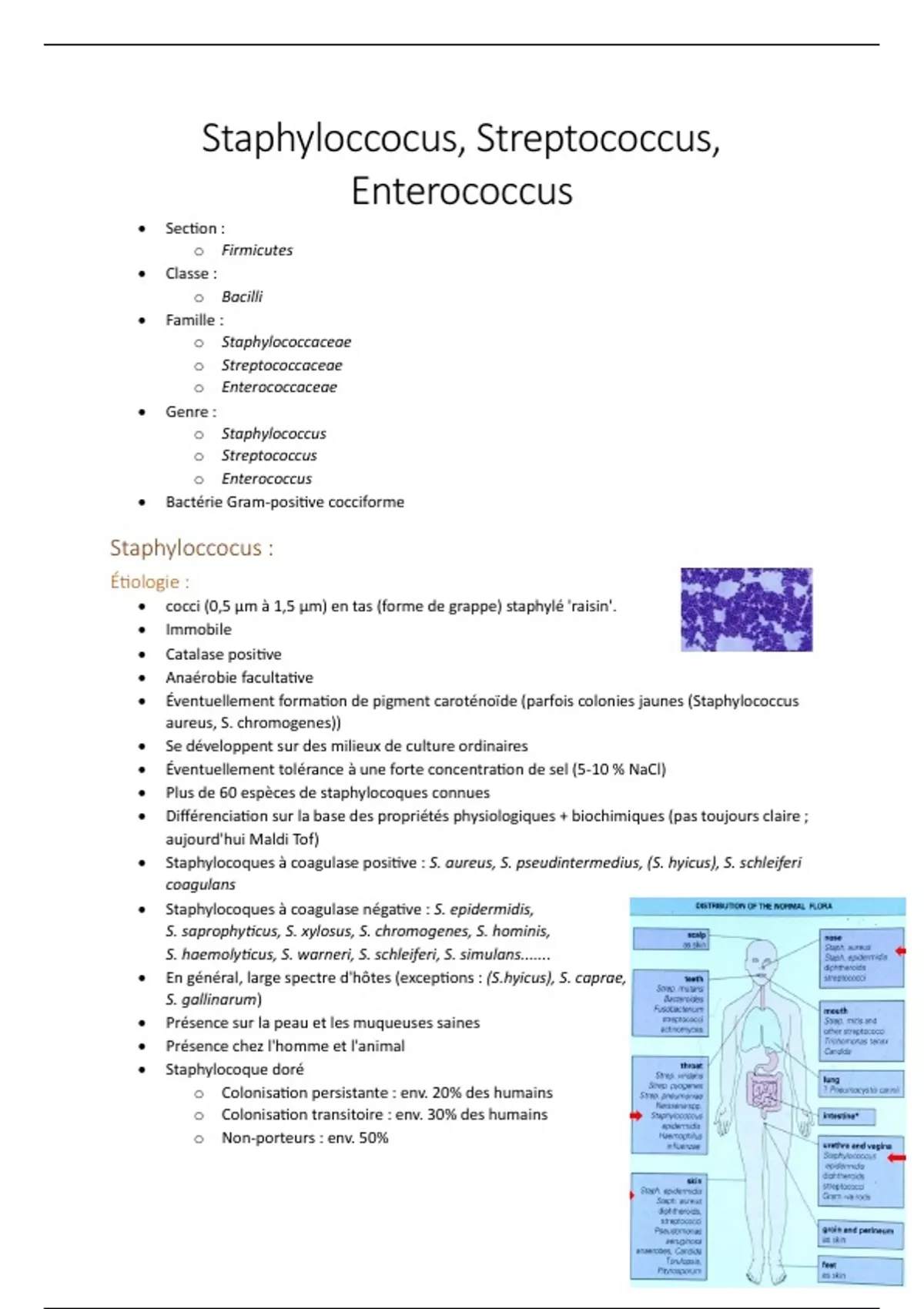Résumé - bactériologie : Staphylococcus, Streptococcus, Enterococcus - Bactériologie - Stuvia US