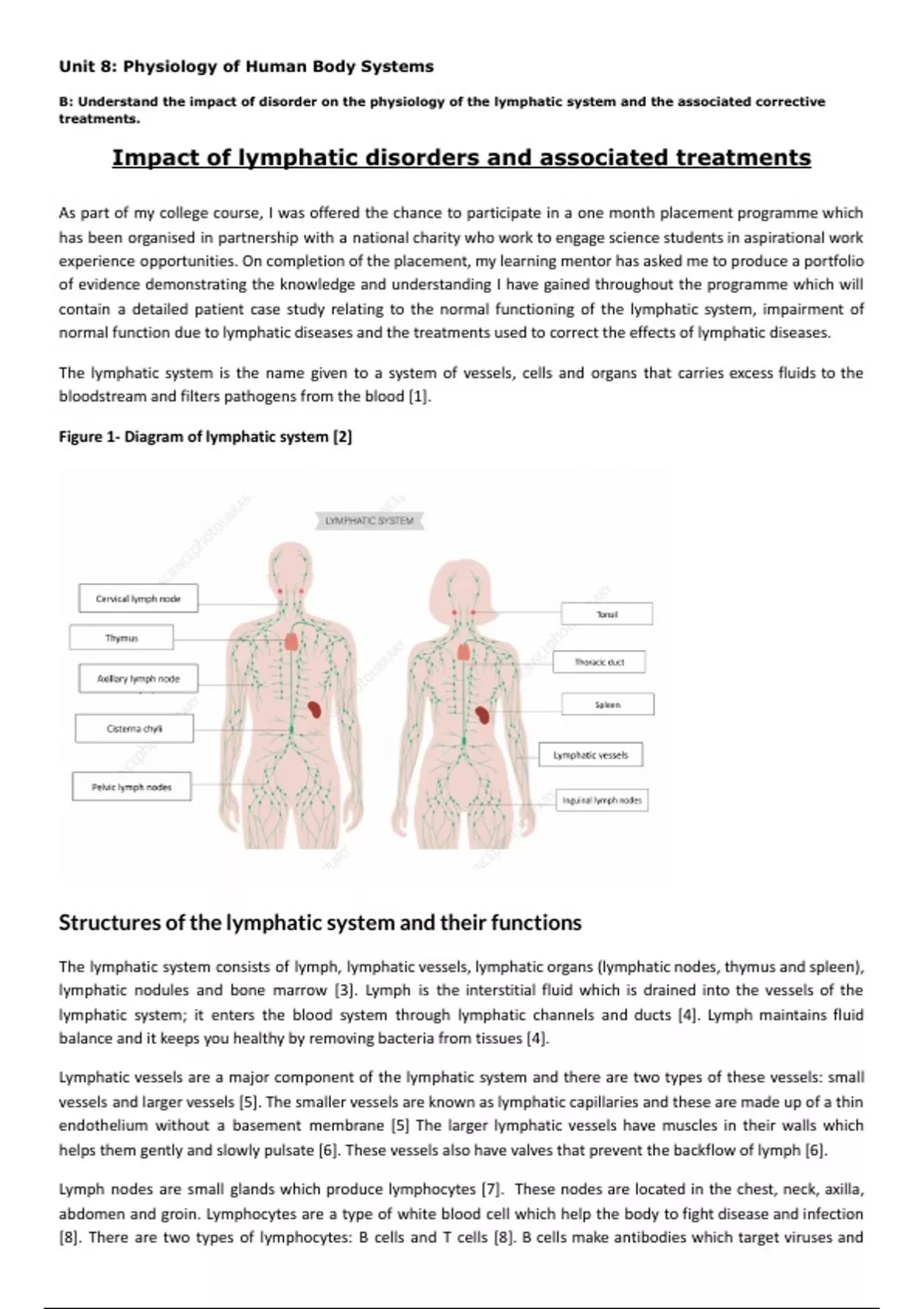 Btec Applied Science Unit 8b Lymphatic System Distinction Unit 8 Physiology Of Human