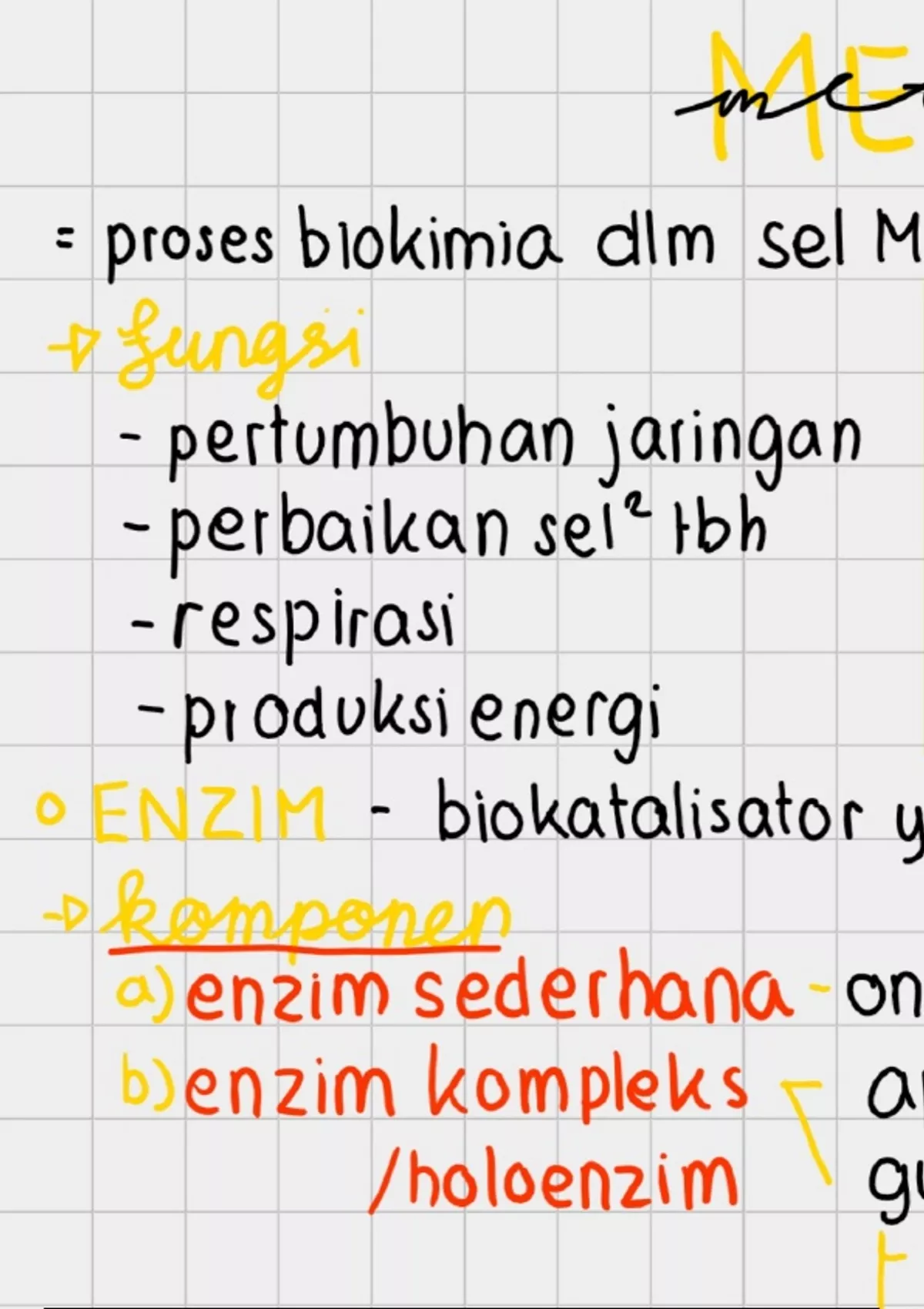 Summary SMA Kelas 12 Biologi Enzim dan Metabolisme - Biology - Stuvia US