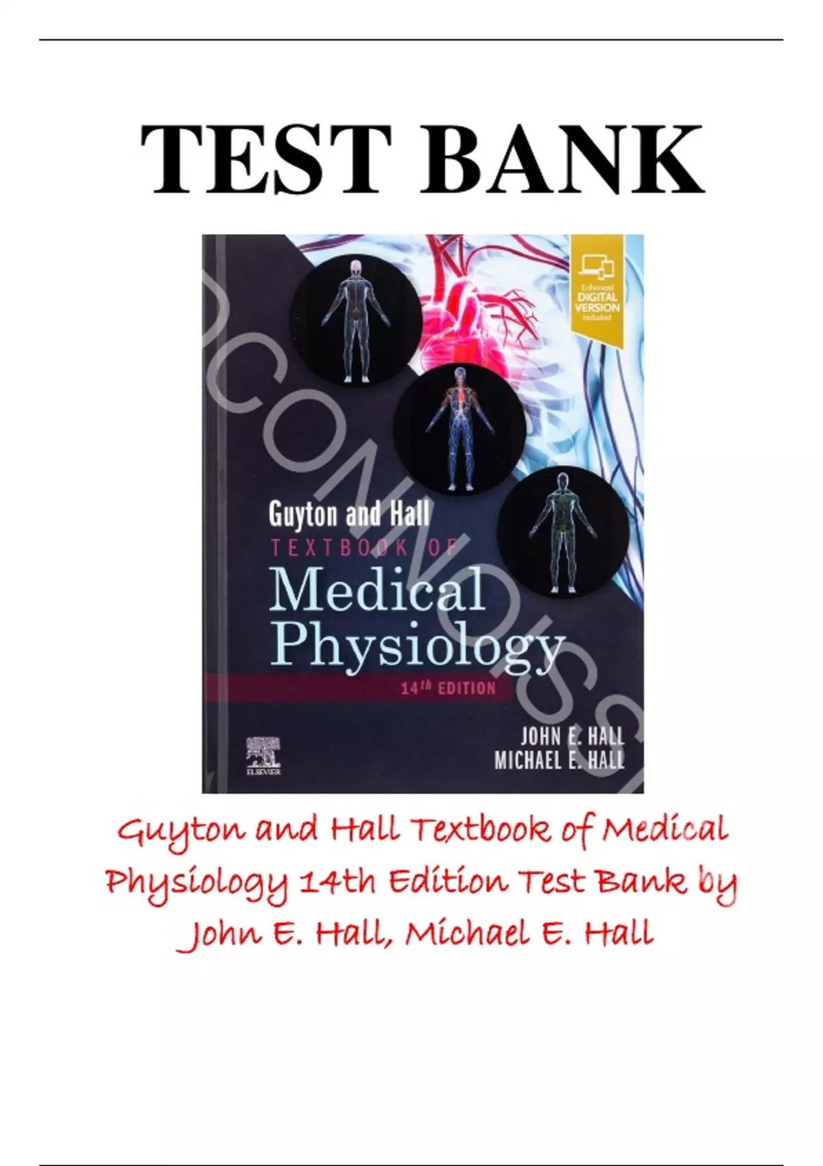 Test Bank For Guyton and Hall Textbook of Medical Physiology 14th ...