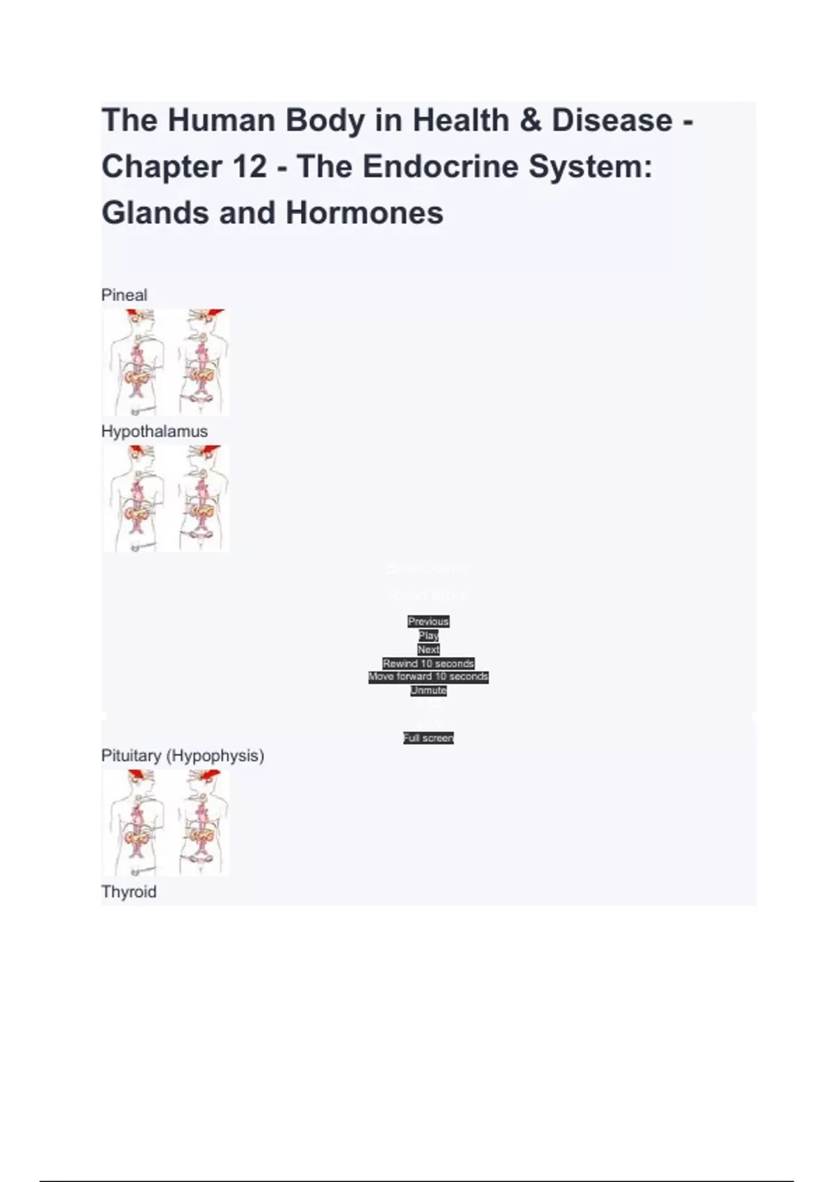 The Human Body in Health and Illness 7th Edition Chapter 12 - The ...