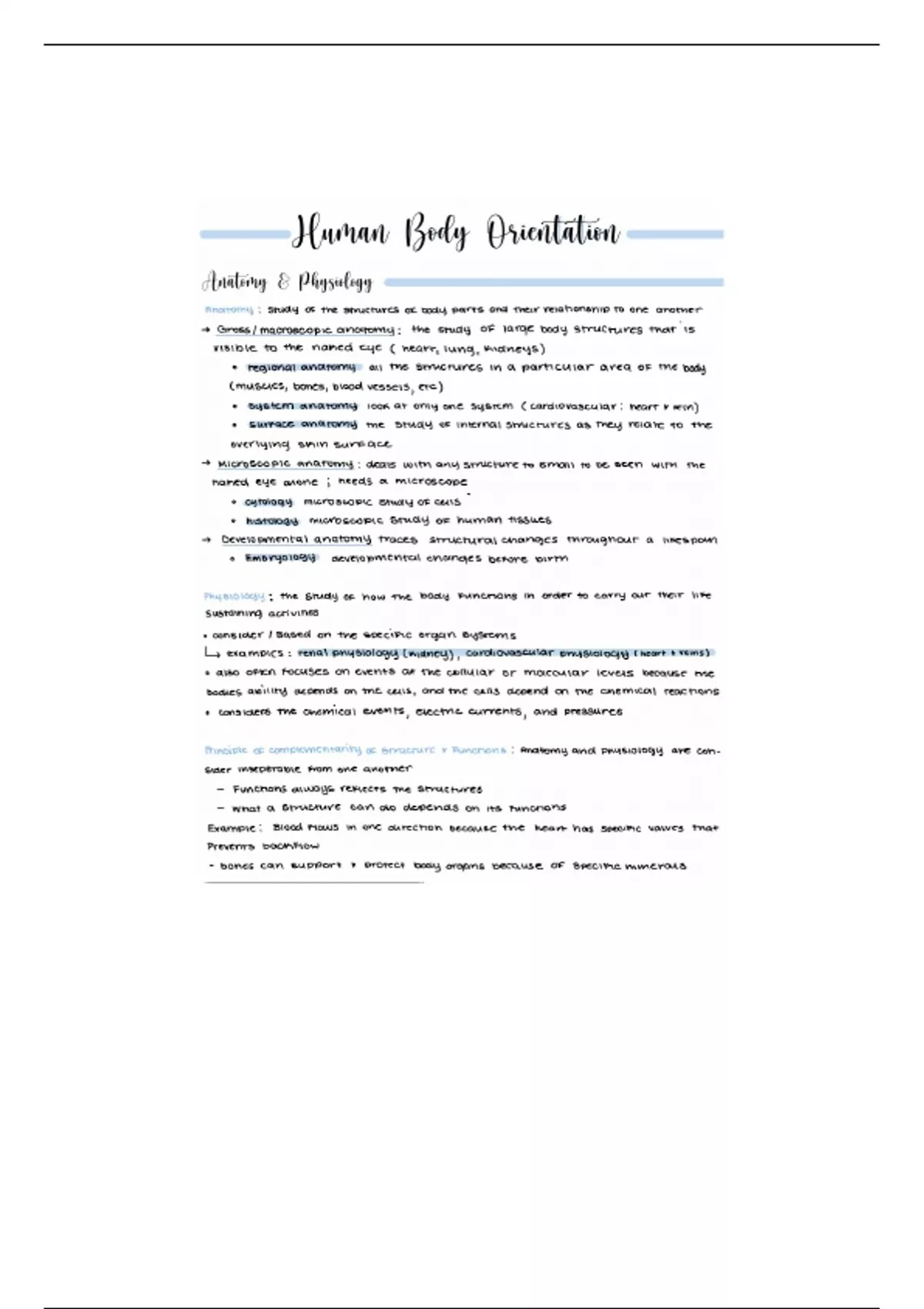 Biol 2221 - Human body orientation notes - Biol2221 - Stuvia US