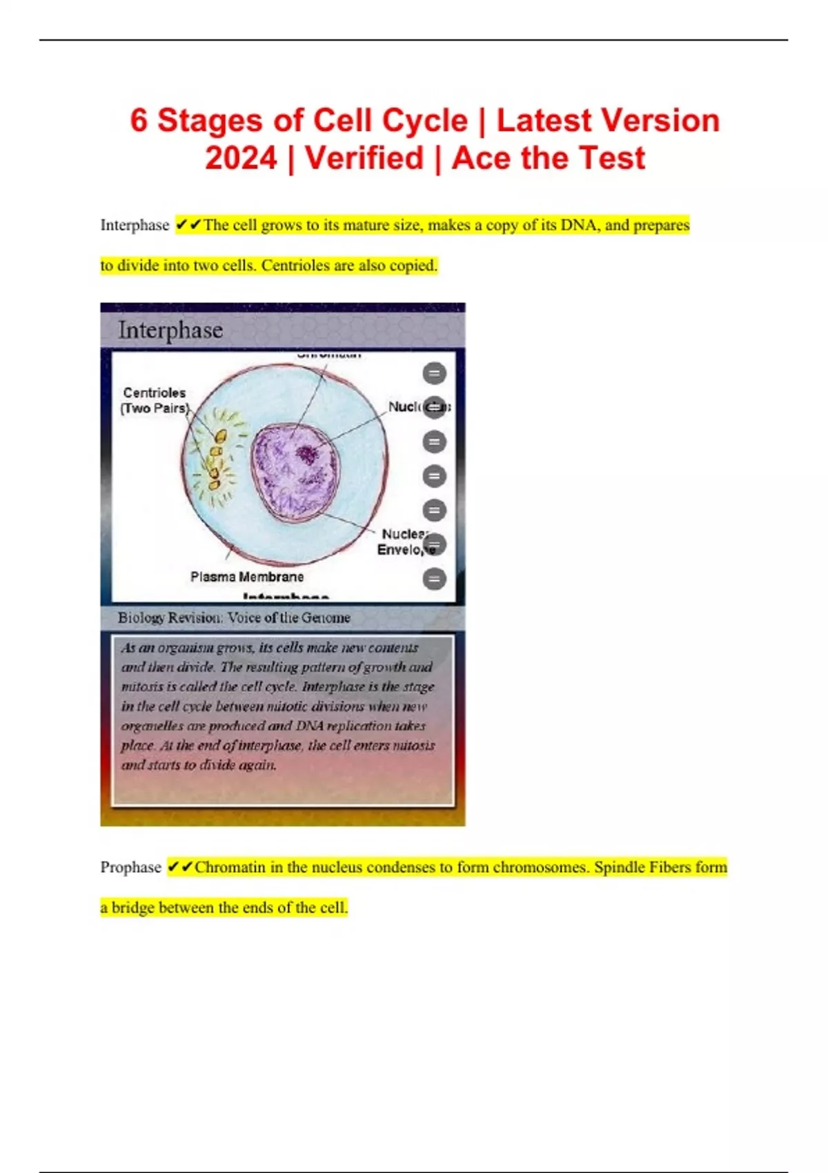 6 Stages of Cell Cycle | Latest Version 2024 | Verified | Ace the Test ...