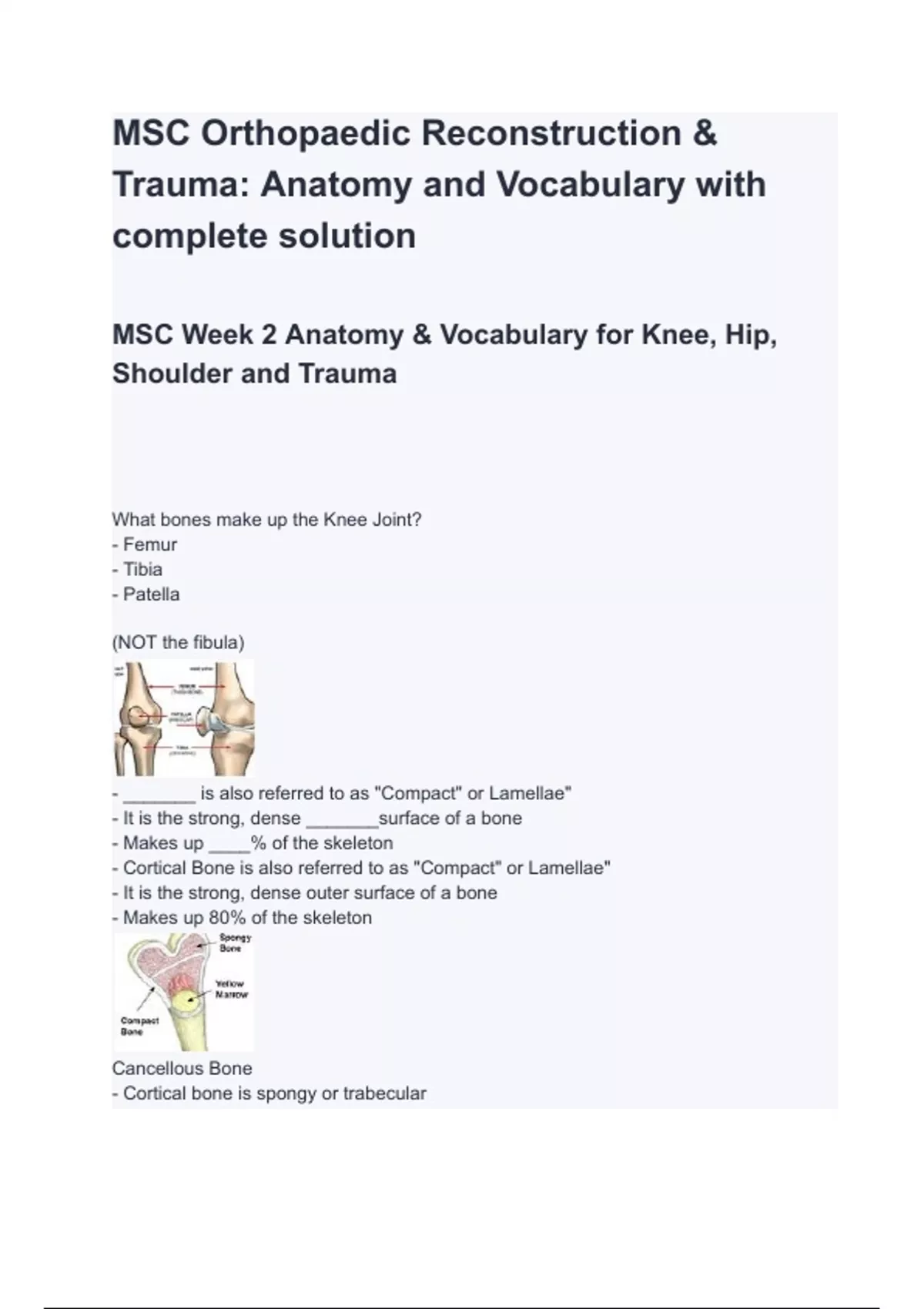 MSC Orthopaedic Reconstruction & Trauma: Anatomy and Vocabulary with ...