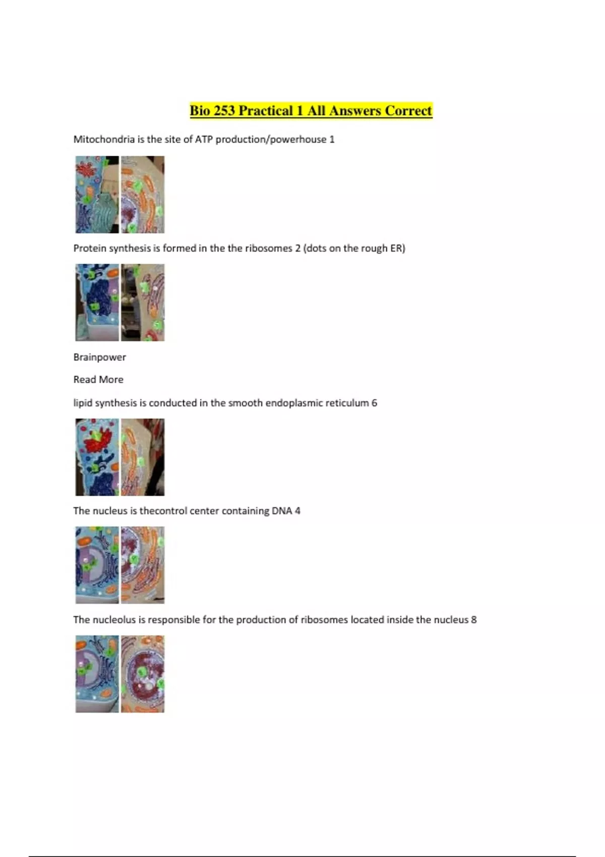 Bio 253 Practical 1 All Answers Correct - Bio 253 Practical 1 - Stuvia US