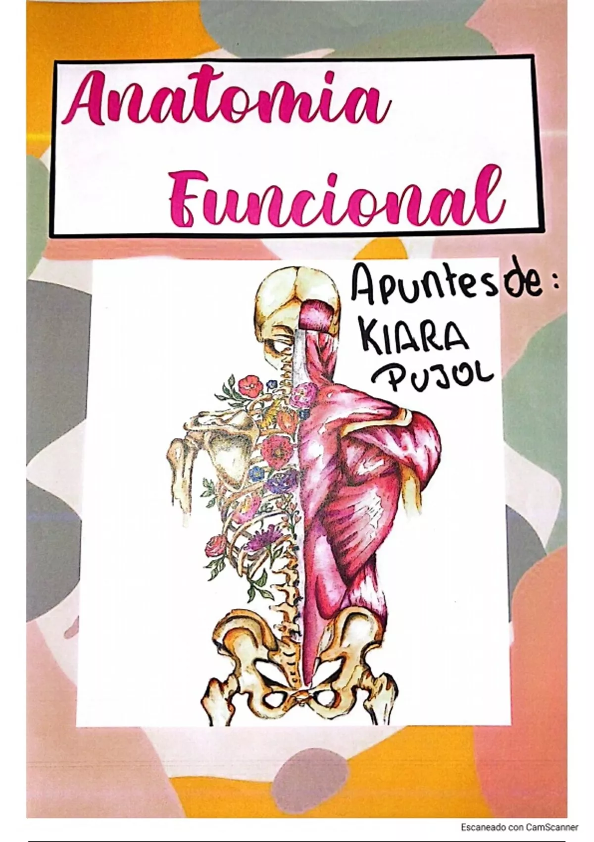ANATOMÍA FUNCIONAL - Anatomia - Stuvia US