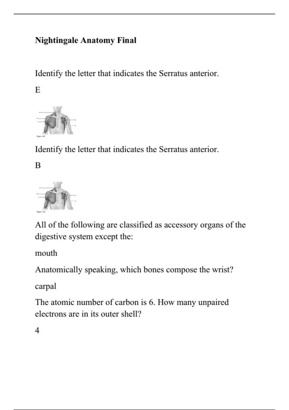 Nightingale Anatomy Final - Anatomy - Stuvia US