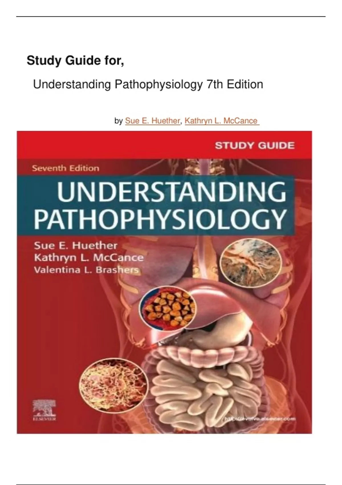 Study Guide for Understanding Pathophysiology 7th Edition ( by Sue E ...