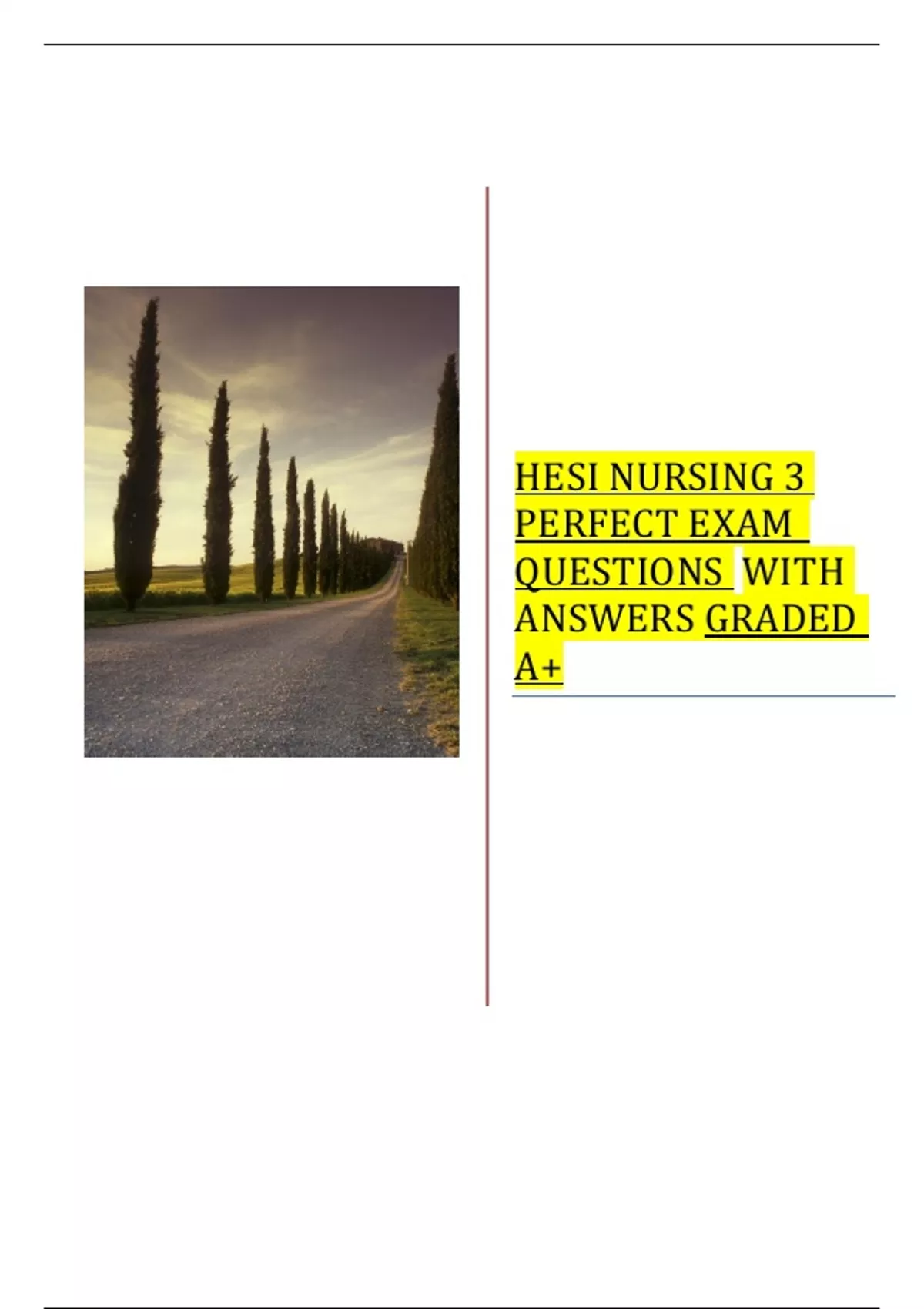 HESI NURSING 3 PERFECT EXAM QUESTIONS WITH ANSWERS LATEST SOLUTION ...