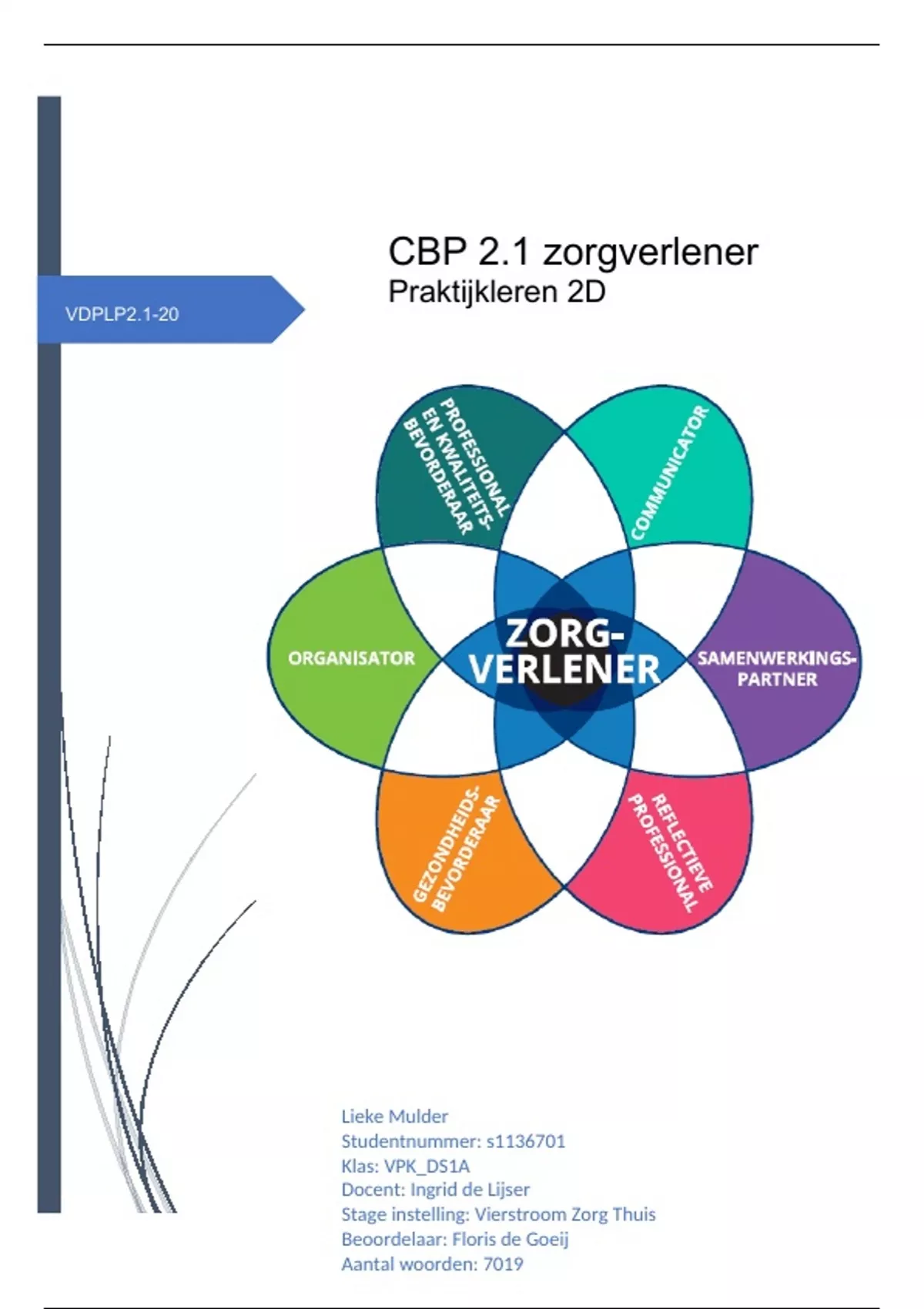 CBP 2.1 de zorgverlener - zorgplan volgens NANDA, NOC EN NIC ...