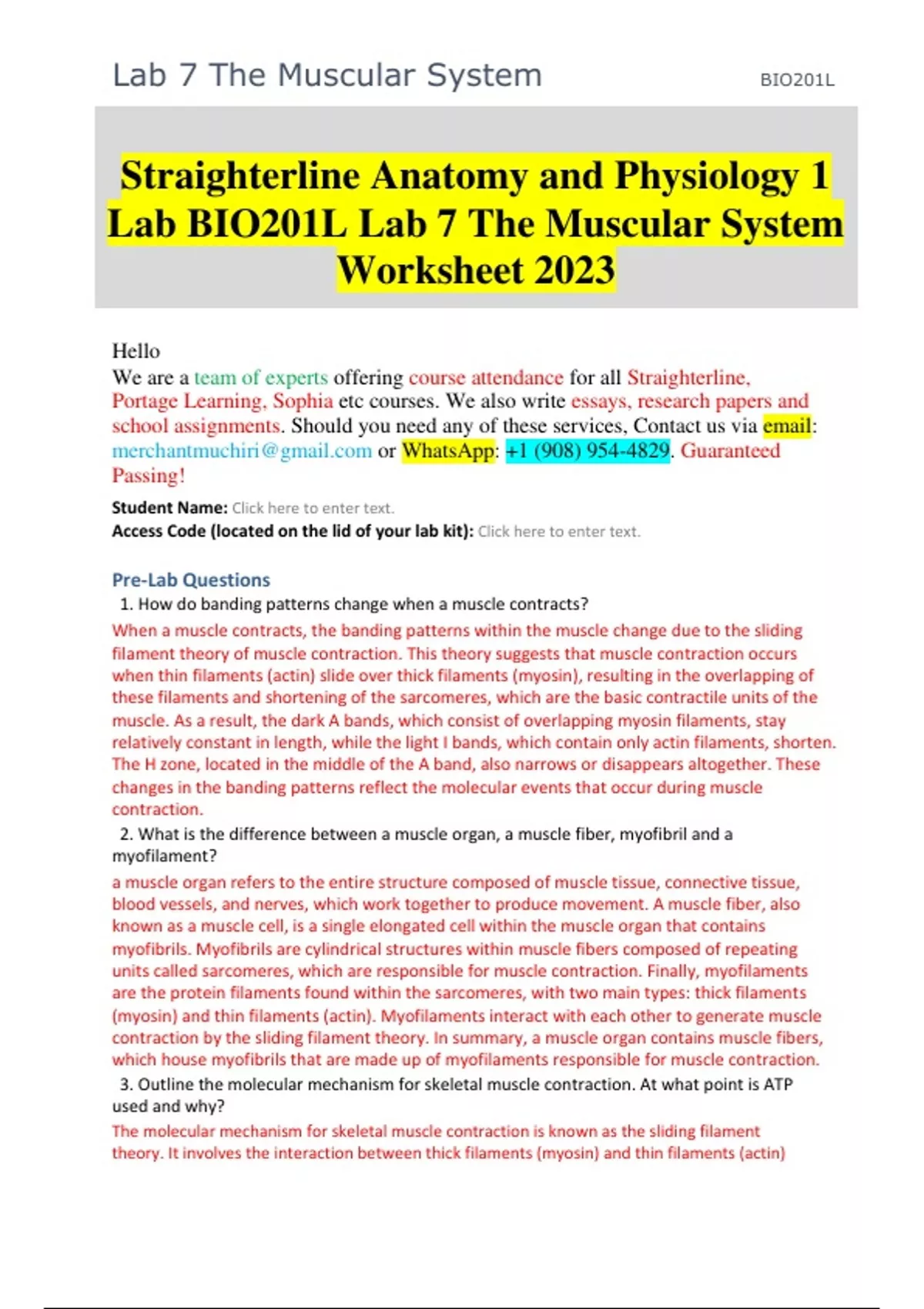 Straighterline Anatomy and Physiology 1 Lab BIO201L Lab 7 The Muscular ...