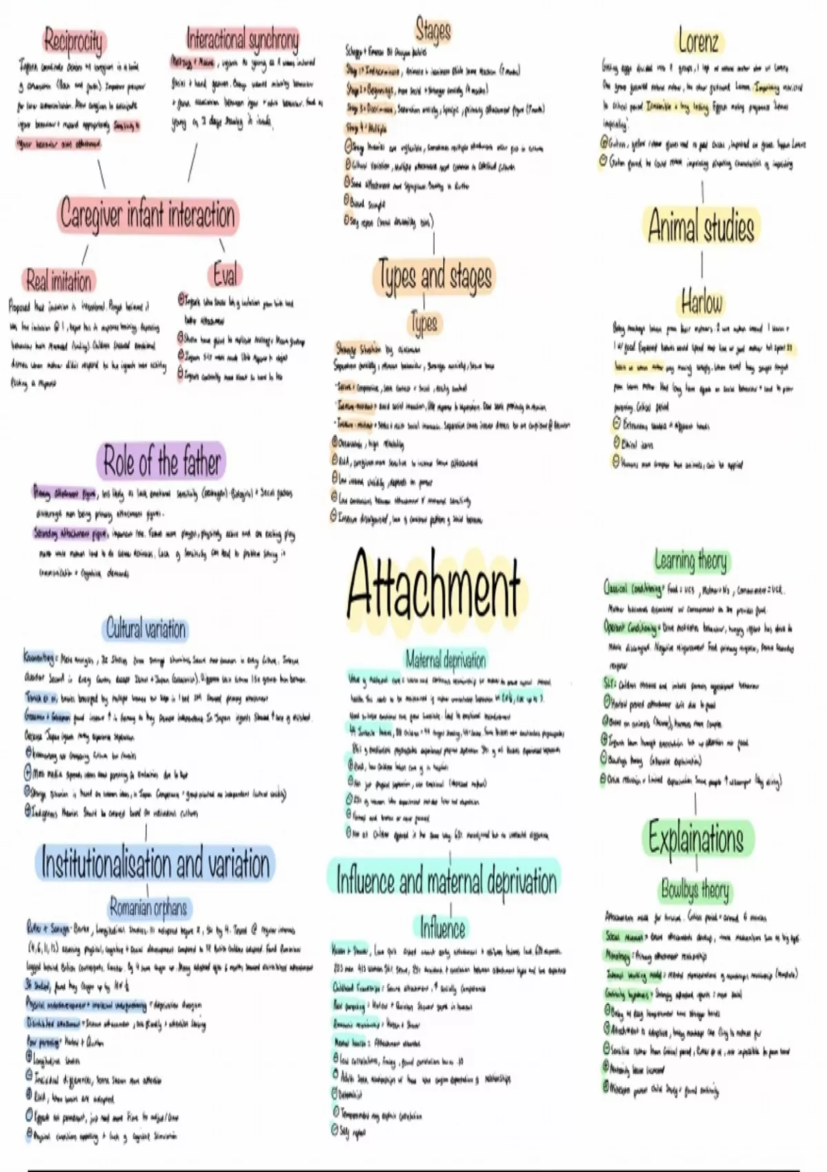 Psychology Paper 1 Revision notes, Attachment - Attachment - Stuvia UK