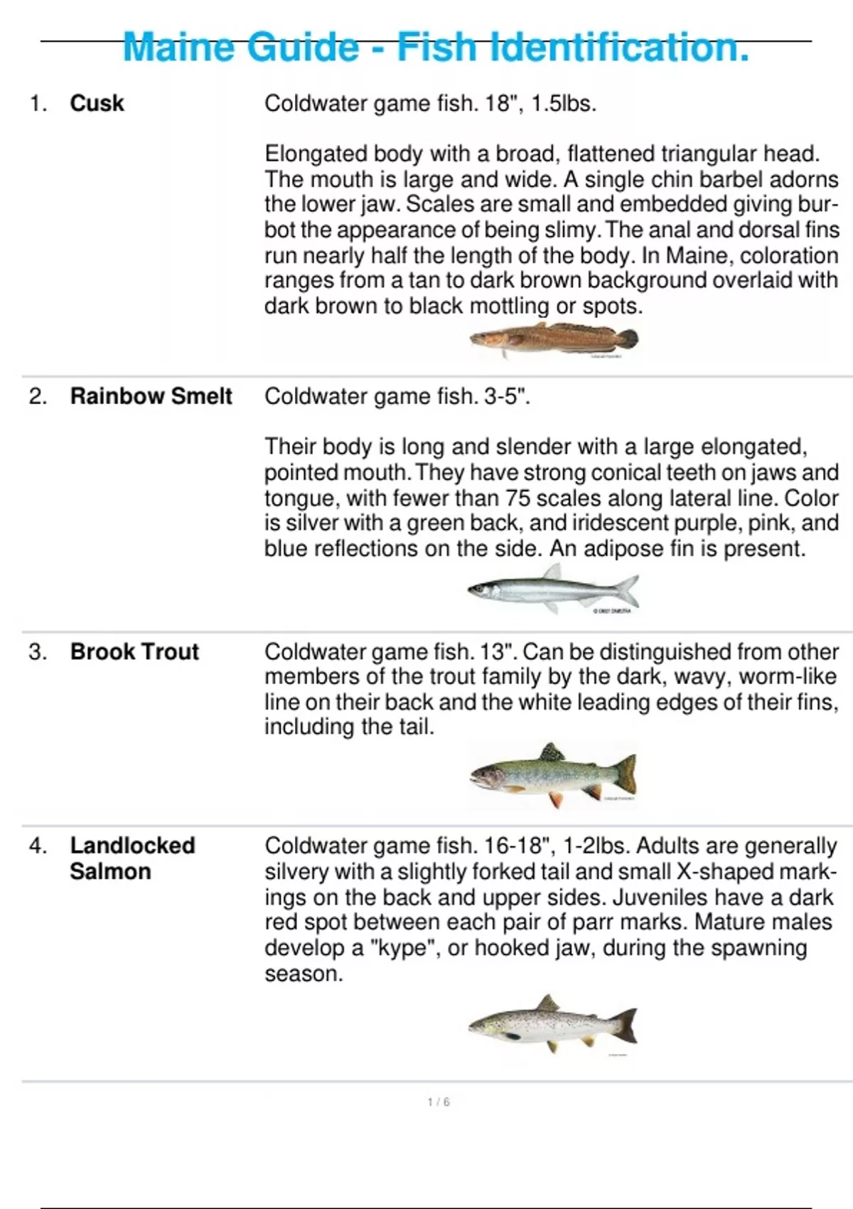 Maine Guide - Fish Identification. - Maine Fish Identification. - Stuvia US