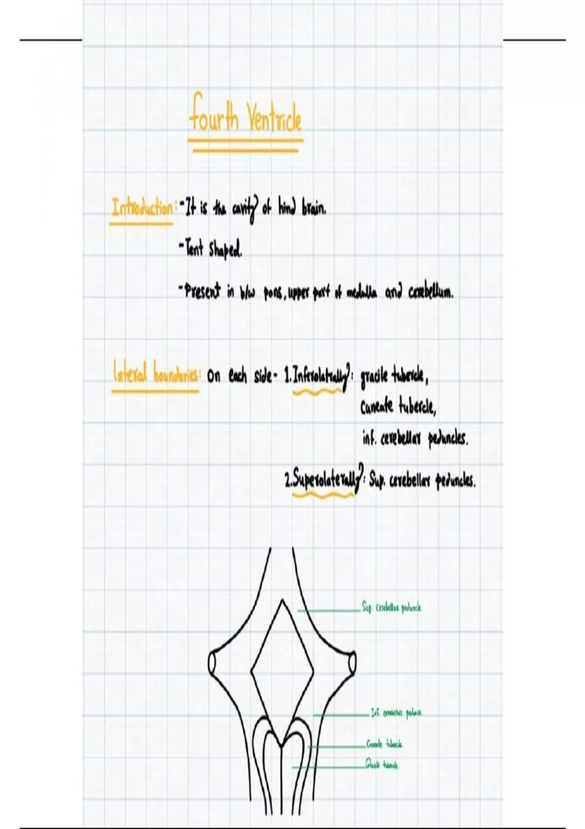Summary Neuroanatomy of spinal cord,4th ventricle and blood supply of ...