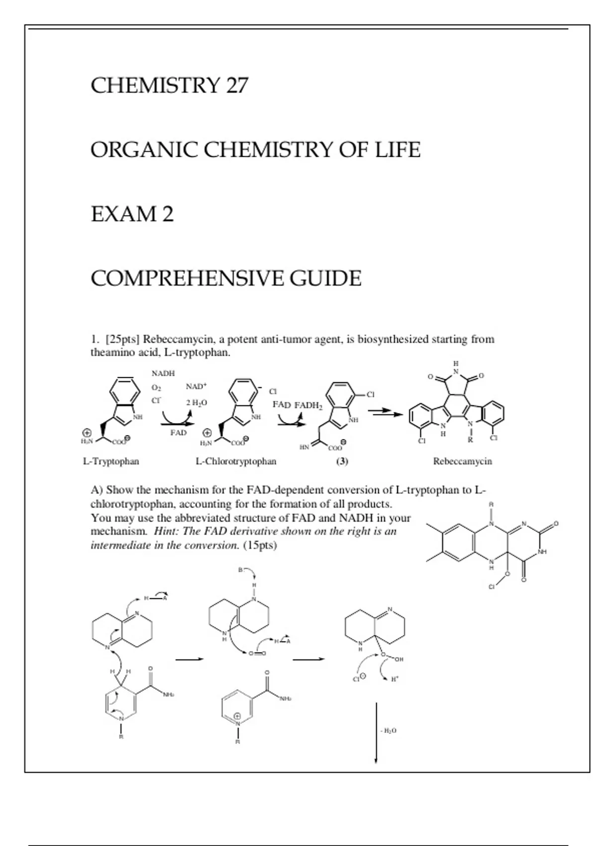 CHEMISTRY 27 ORGANIC CHEMISTRY OF LIFE EXAM 2 COMPREHENSIVE GUIDE 2024 ...