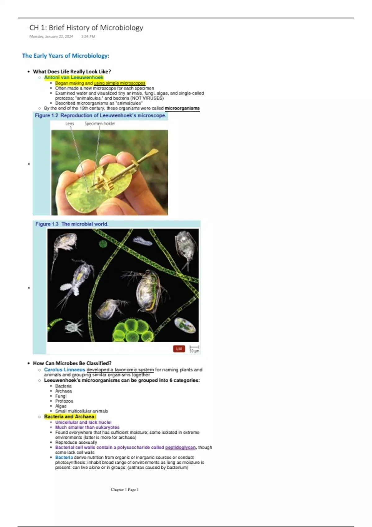 Course Notes Of All Chapters For Microbiology Biol 2420 Spring 2024