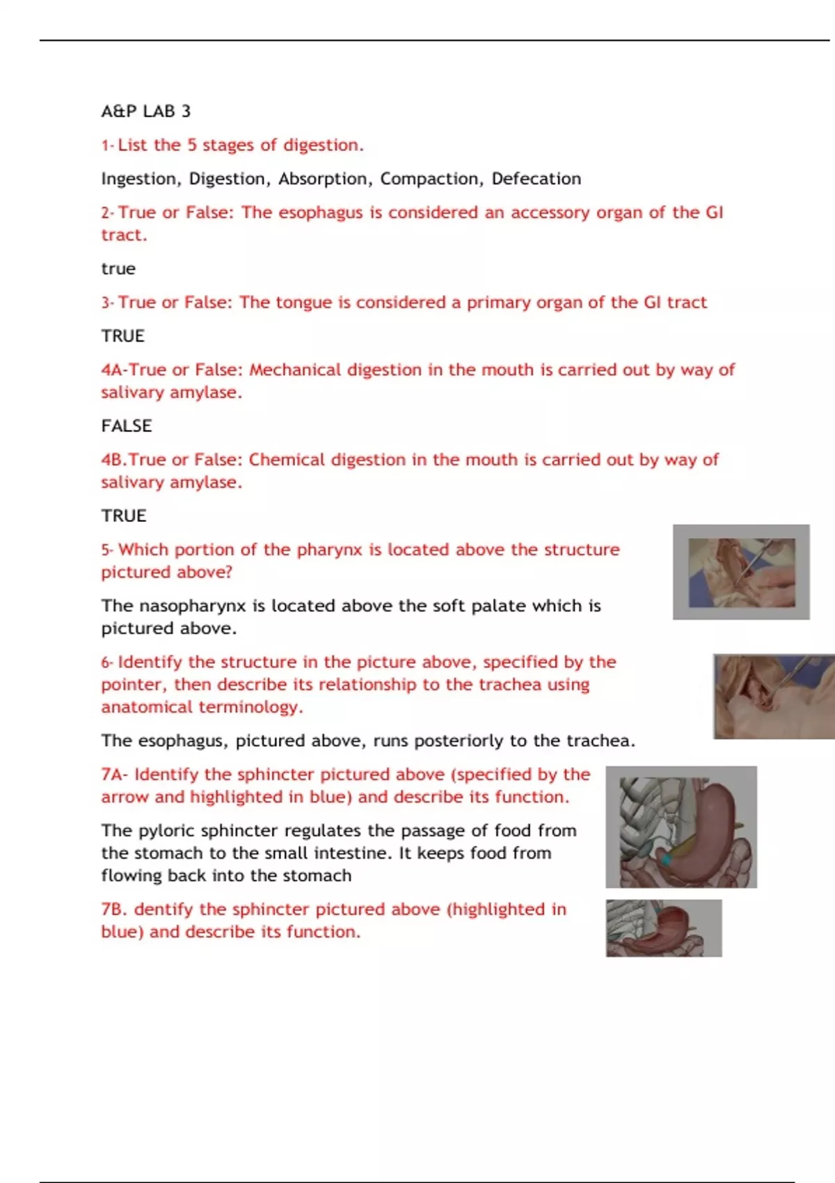 BIOD 151 A&P LAB 3 SPRING 2024 Portage learning - BIOD 151 - Stuvia UK