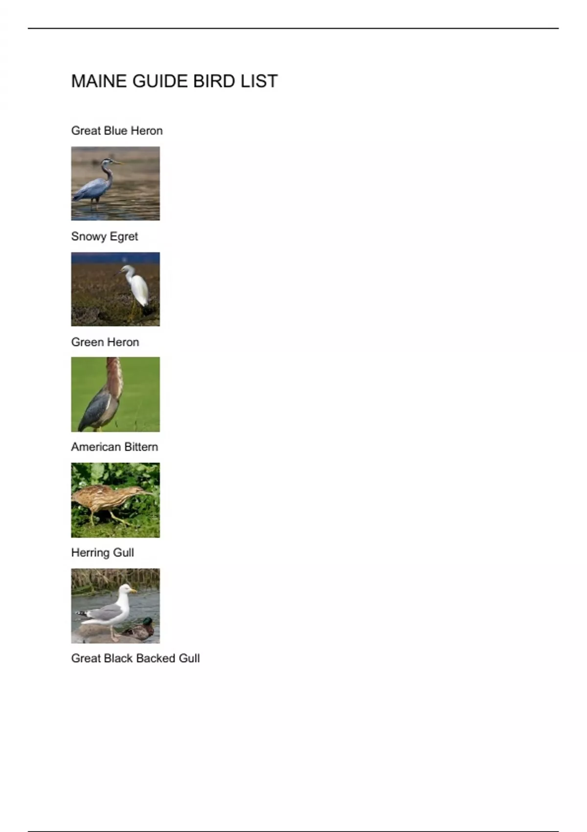 MAINE GUIDE BIRD LIST - MAINE BIRD LIST - Stuvia US