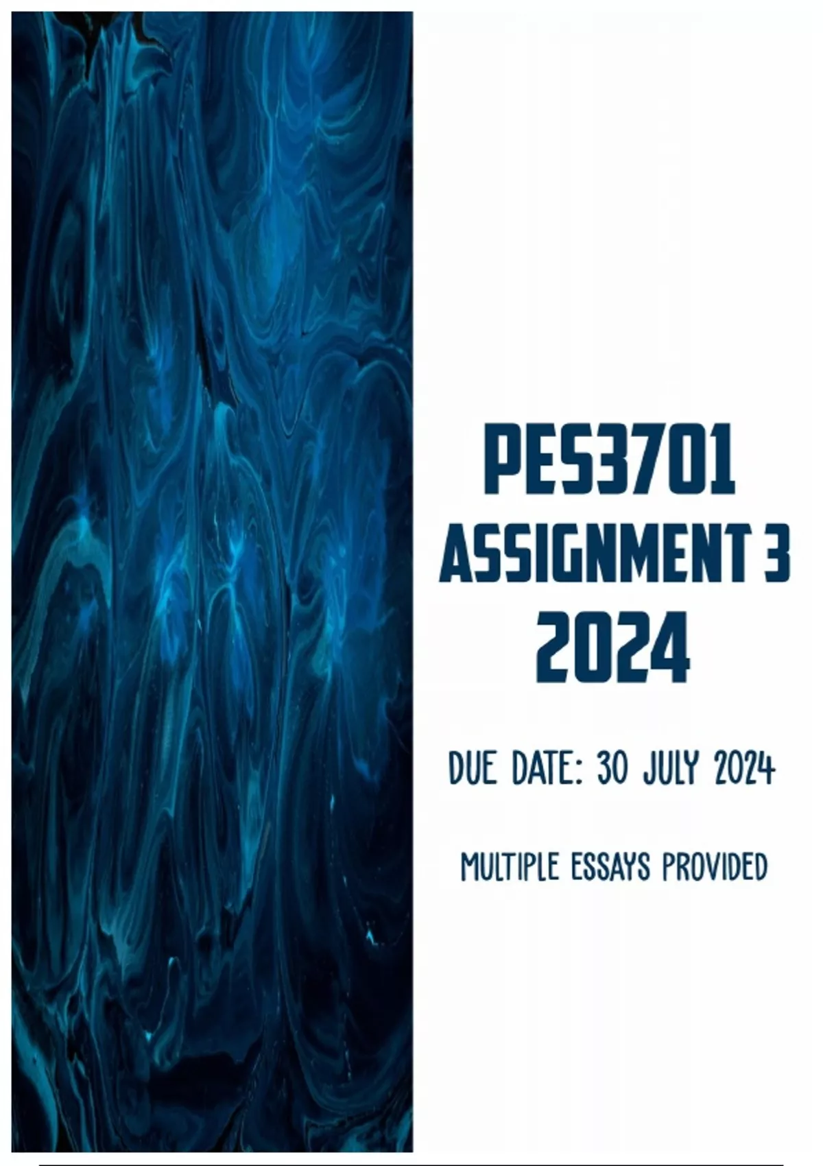 PES3701 Assignment 3 2024 | Due 30 July 2024 - Physical Education and ...