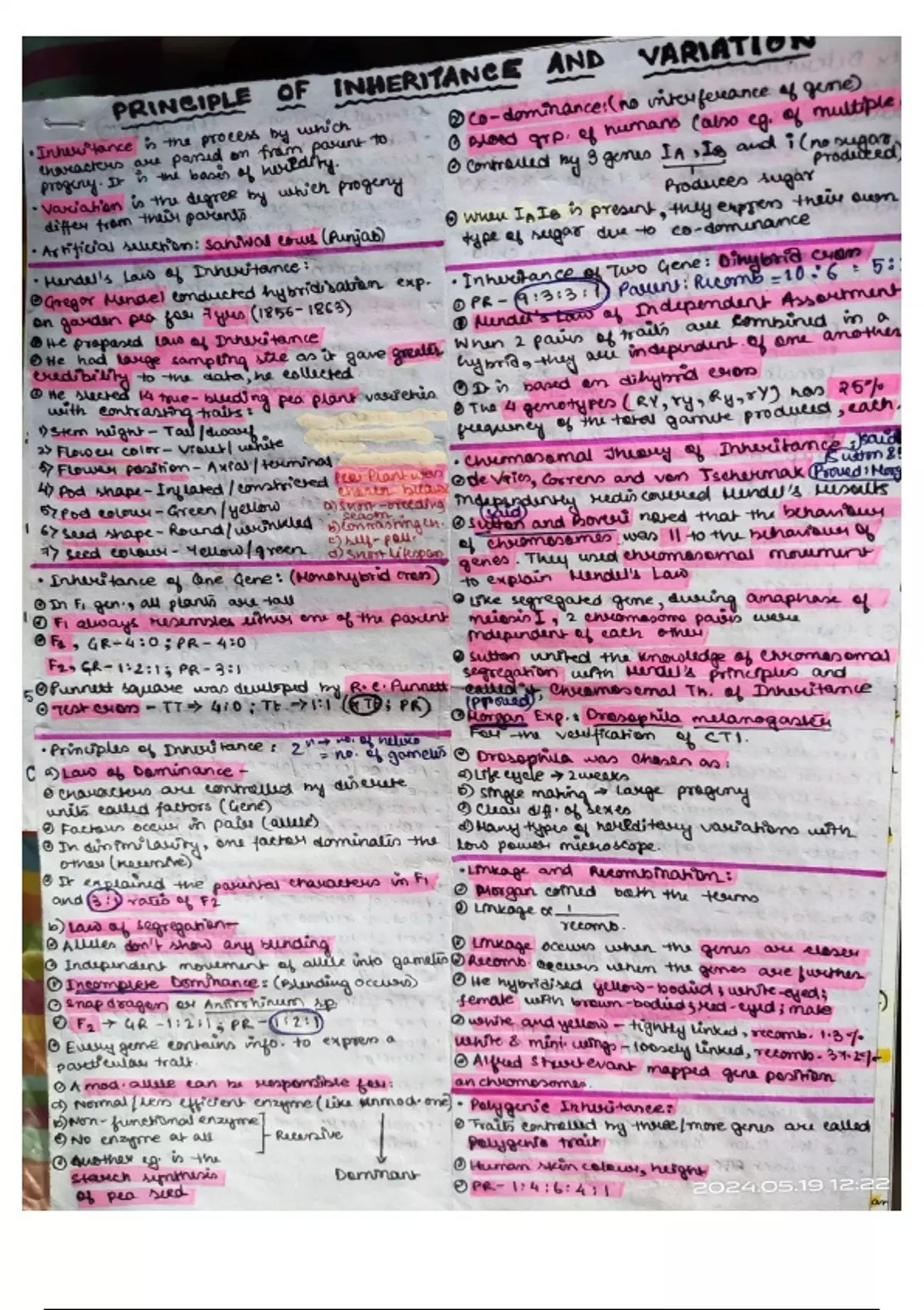 CLASS XII BIOLOGY NCERT/PRINCIPLES OF INHERITANCE/MOLECULAR BASIS OF ...