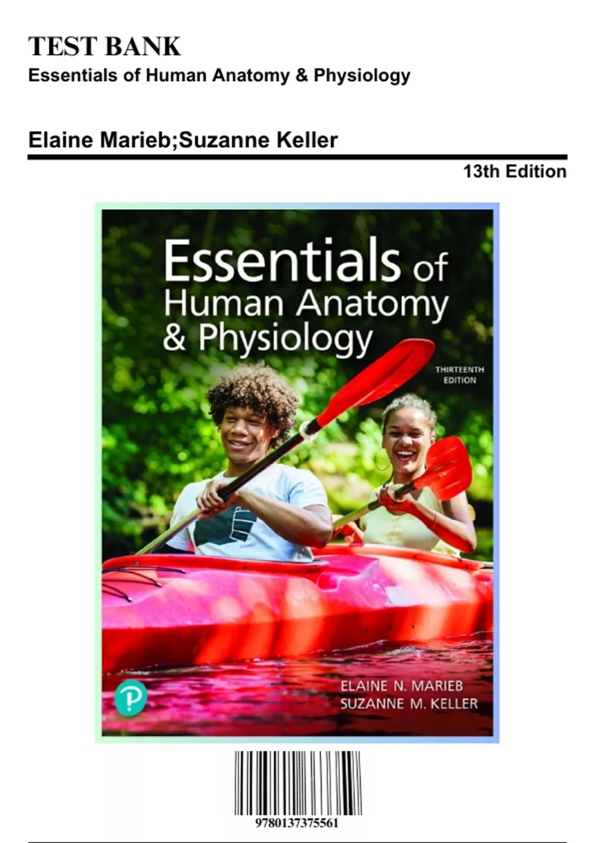 Test Bank for Essentials of Human Anatomy & Physiology , 13th Edition ...