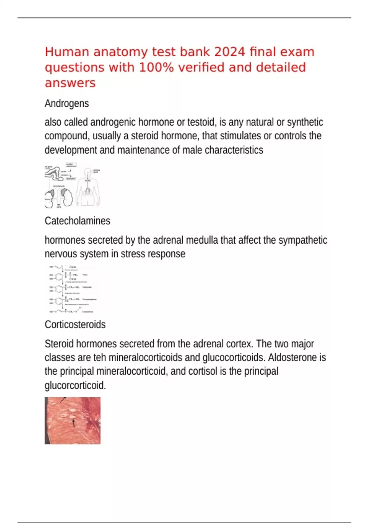 Human anatomy test bank 2024 final exam questions with 100% verified ...