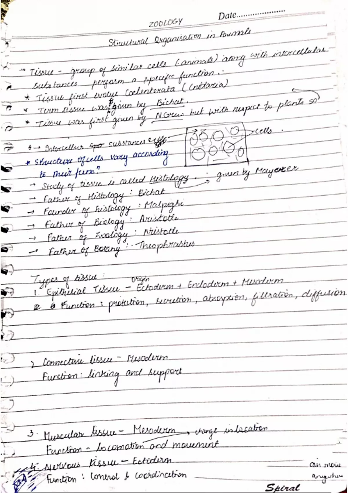 Basics of human anatomy - NEET - Stuvia US
