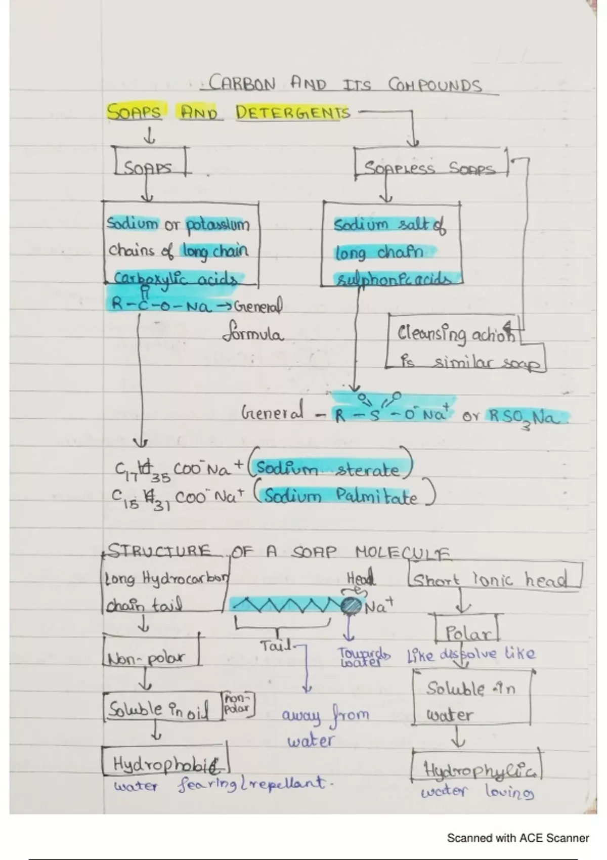 CARBON AND ITS COMPOUNDS HANDWRITTEN - Science-Chemistry - Stuvia US