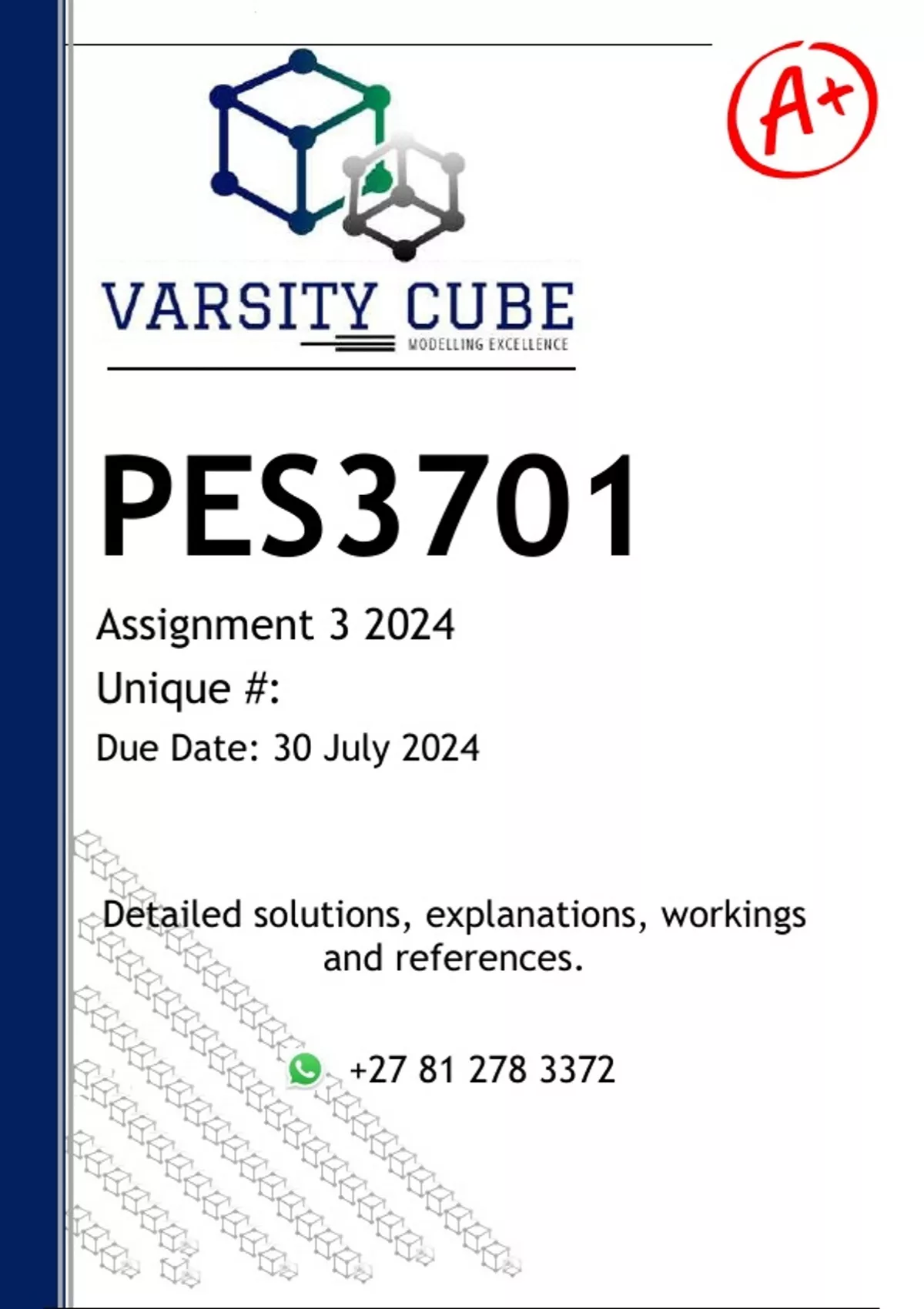 PES3701 Assignment 3 (DETAILED ANSWERS) 2024 - DISTINCTION GUARANTEED ...