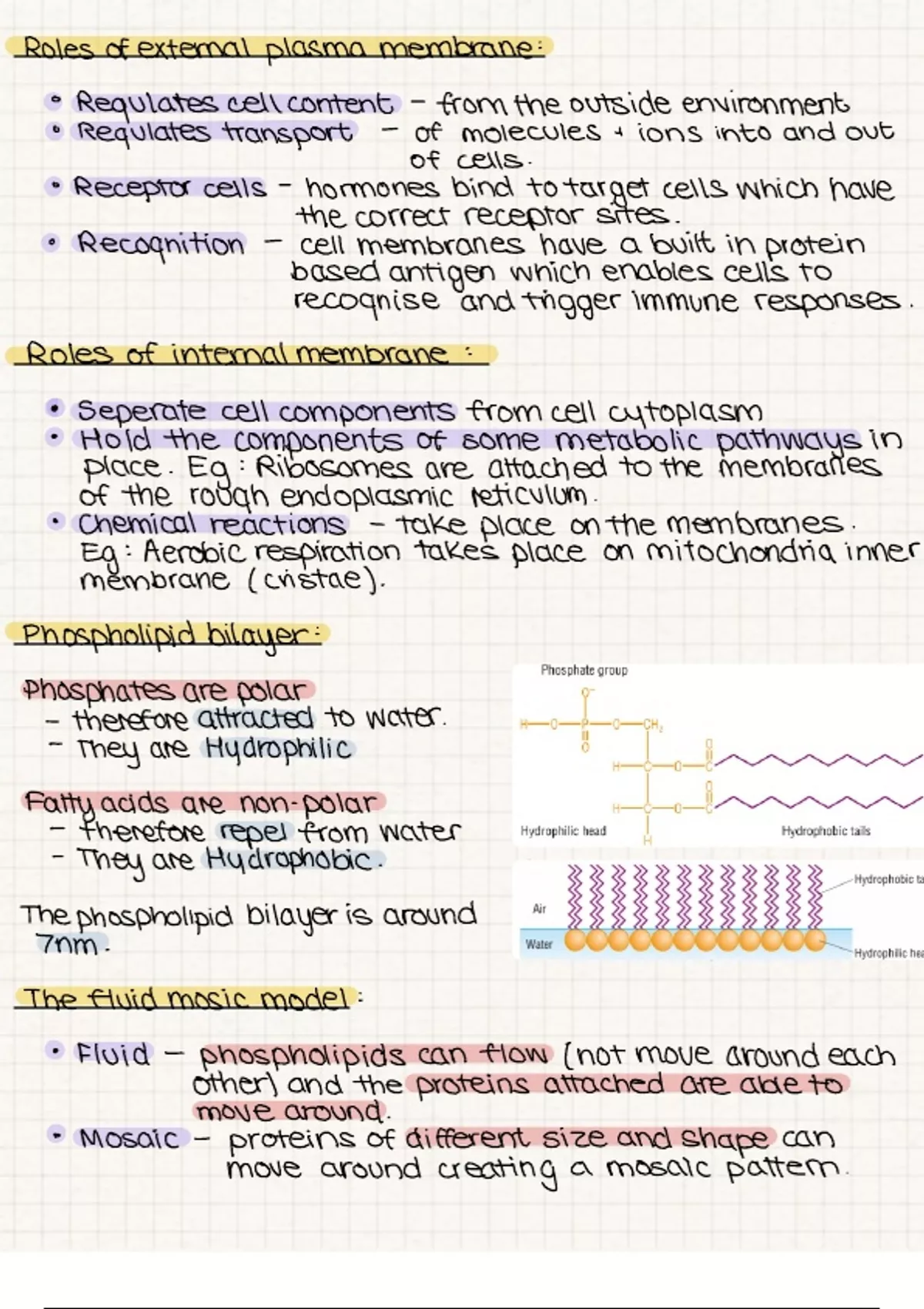 Summary Core concepts - Cell membrane and transport - Core Concepts ...