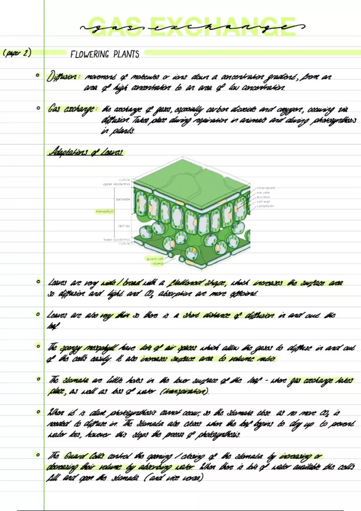 Gas Exchange GCSE Biology summary notes - Biology - Stuvia UK