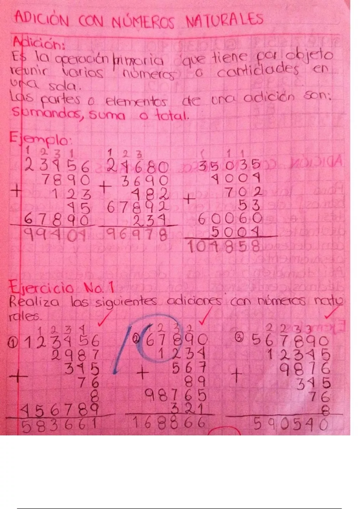 Descripción y ejemplos - Mathematics - Stuvia US