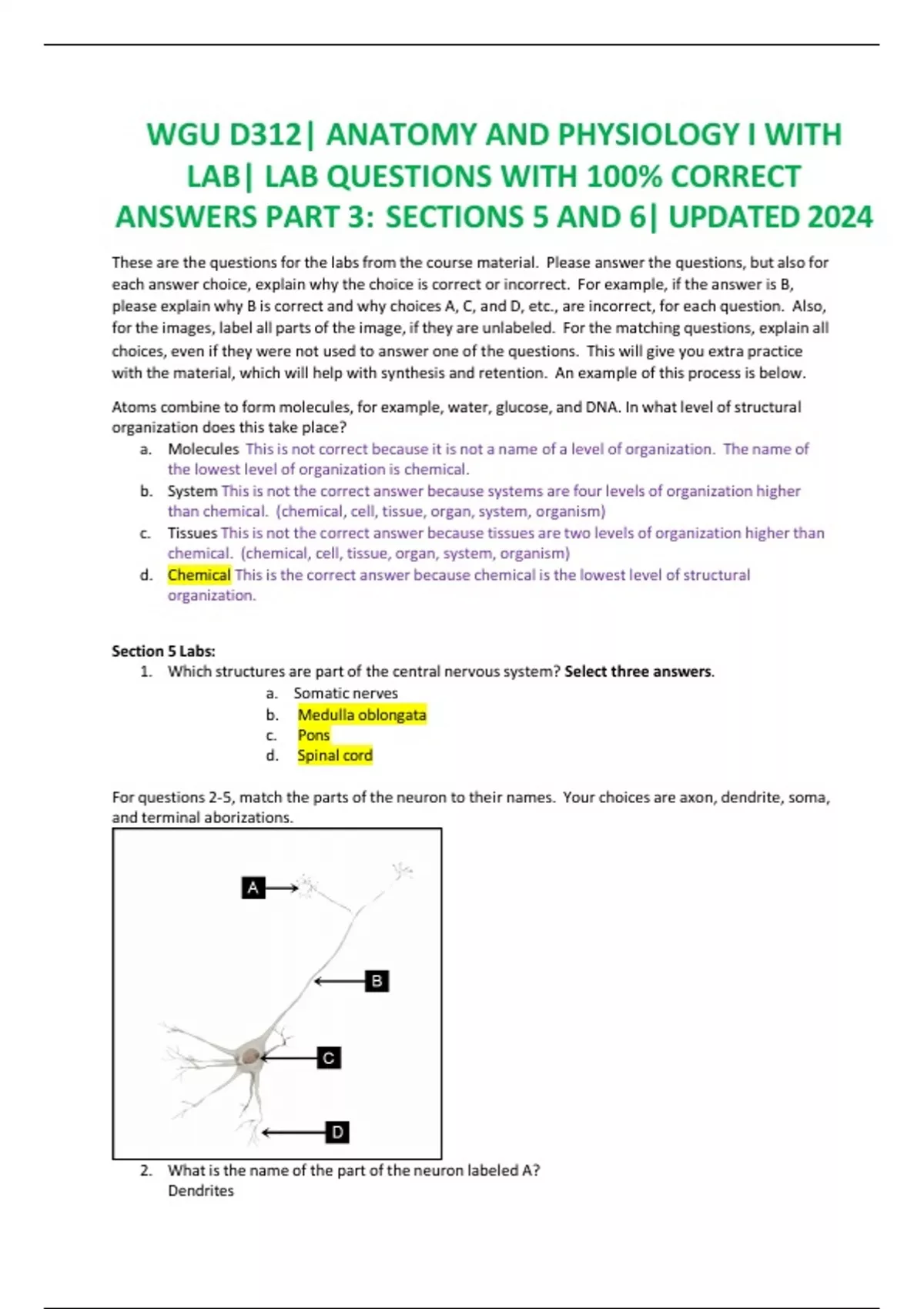 WGU D312| ANATOMY AND PHYSIOLOGY I WITH LAB| LAB QUESTIONS WITH 100% CORRECT ANSWERS PART 3 ...